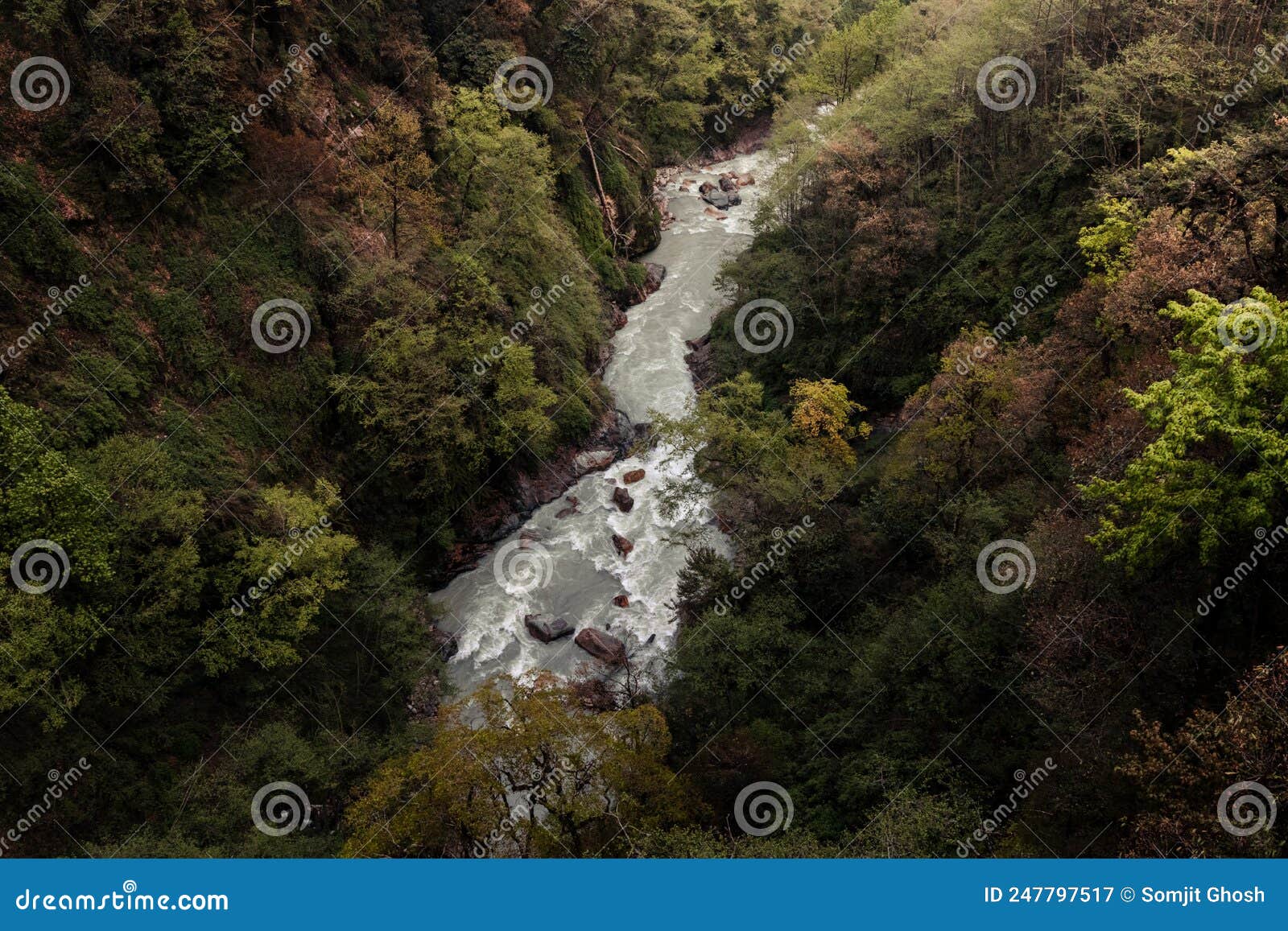 Forest Landscape and River Landscape in Sikkim, India Stock Image ...