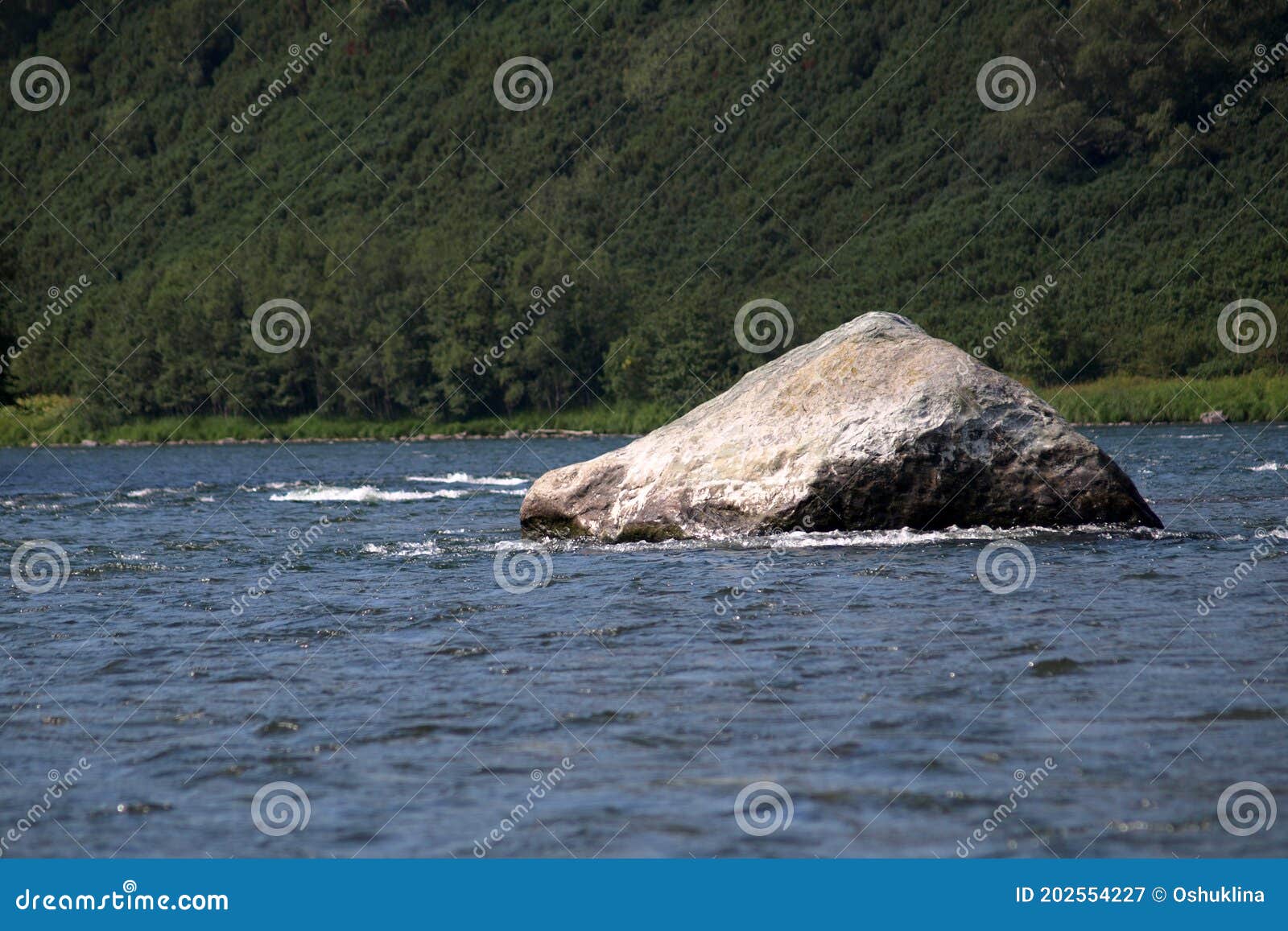 River Malkinskaya Bystraya. Huge Stone Lying in the River Water Stock ...