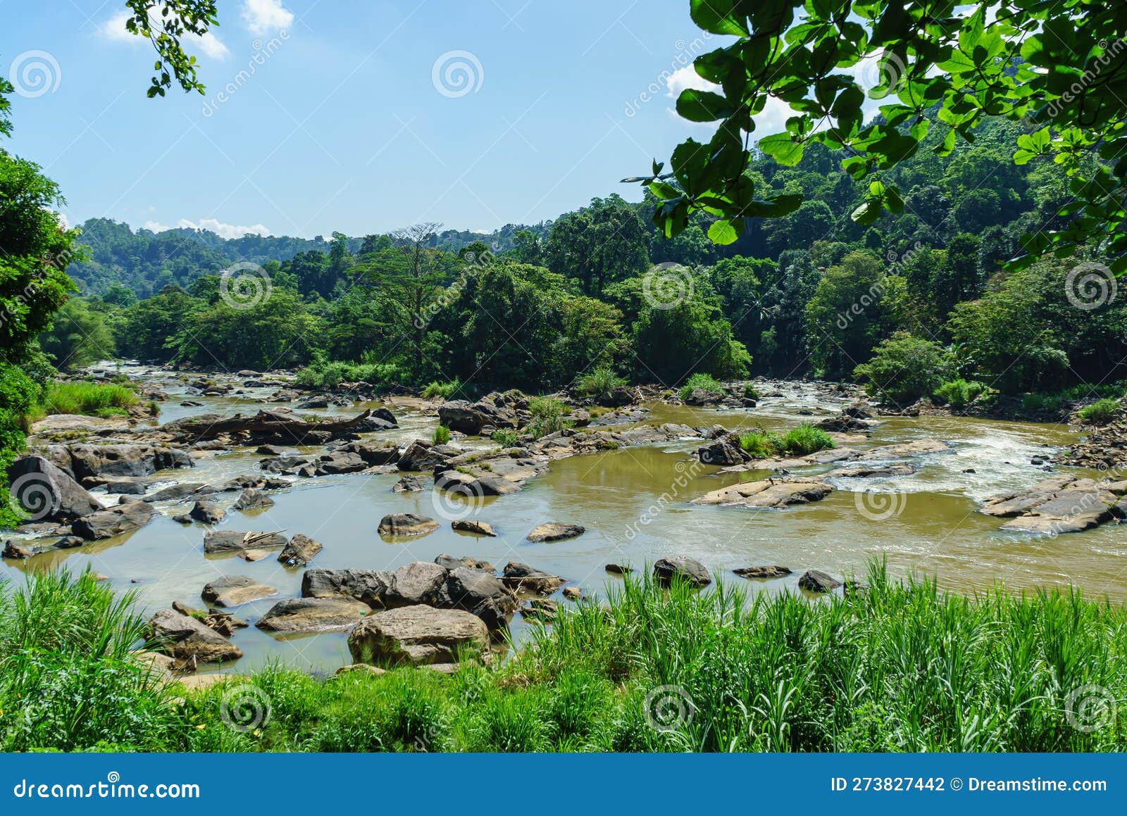 A River with Many Rocks in the Jungle Stock Photo - Image of river ...