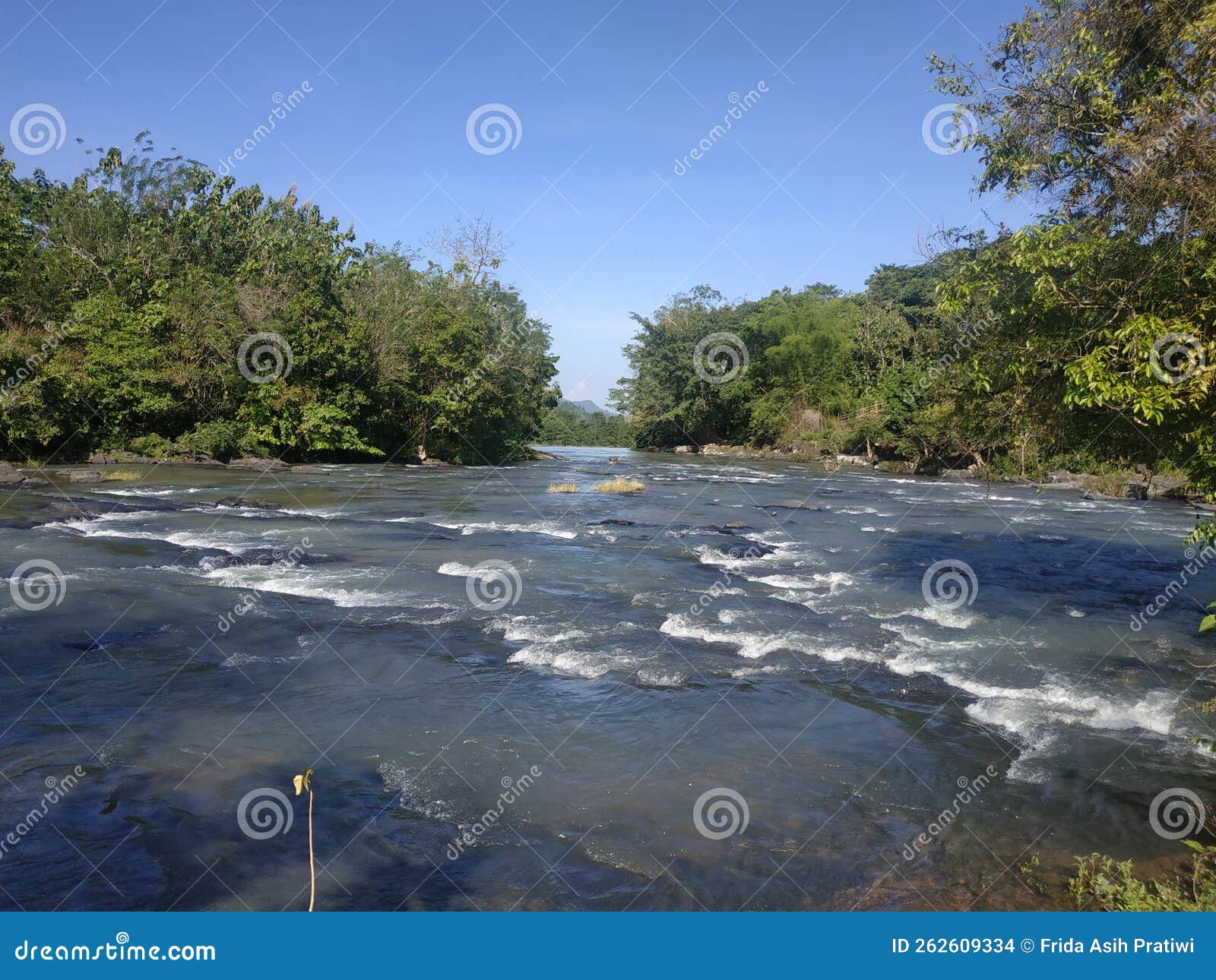 River in Maros South Sulawesi Stock Photo - Image of tree, wilderness ...