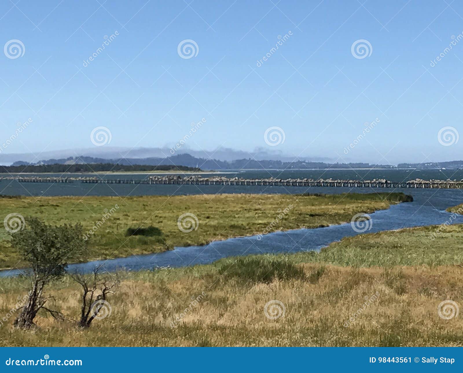 River through marsh stock image. Image of landscape, travel - 98443561