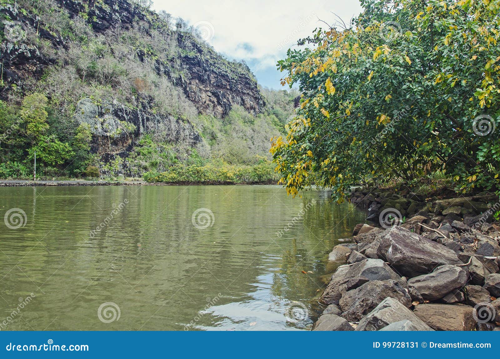 River in Mauritius stock image. Image of scenery, channel - 99728131