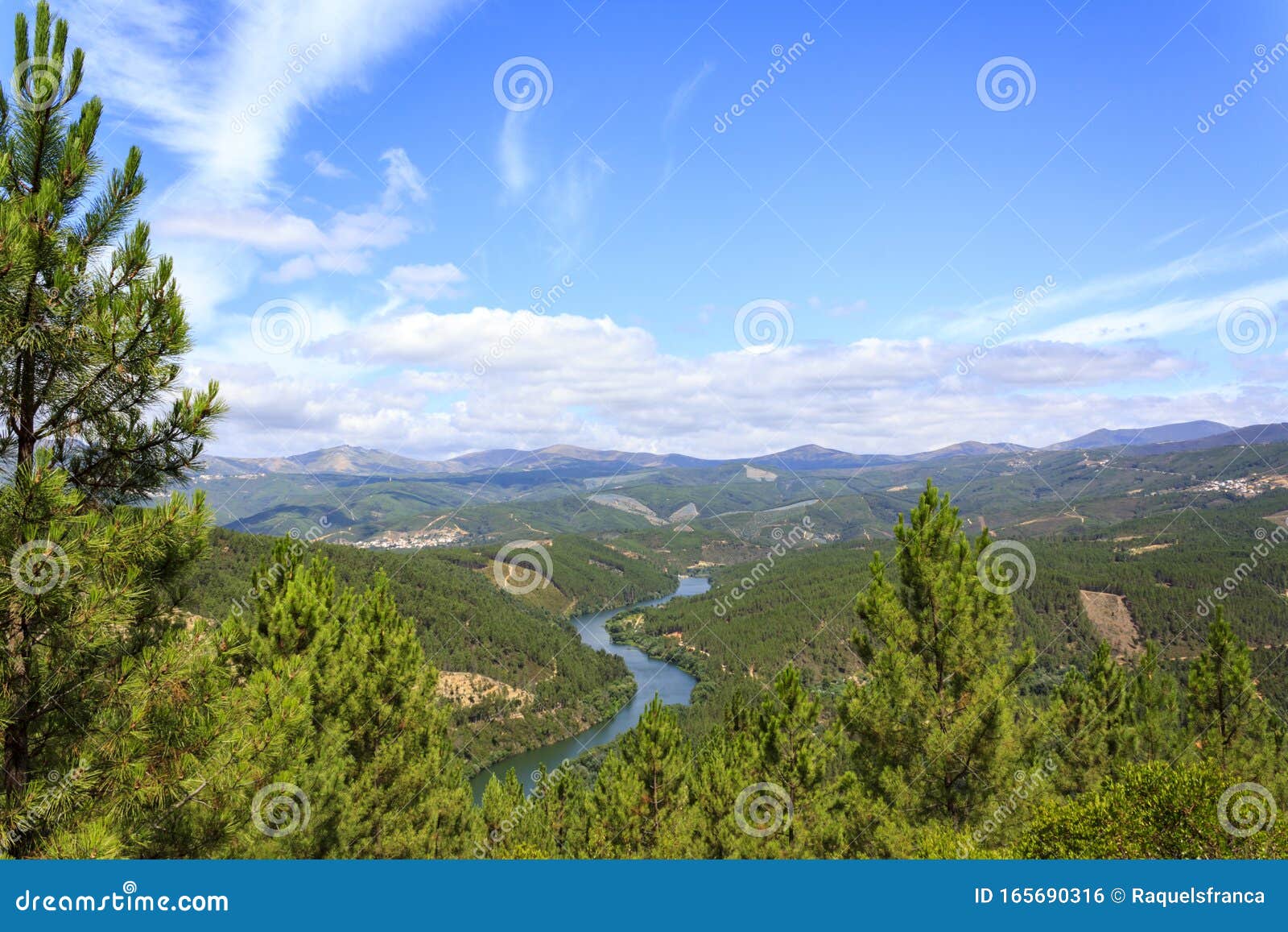 River Meander Landscape with Green Nature Around Stock Photo - Image of ...