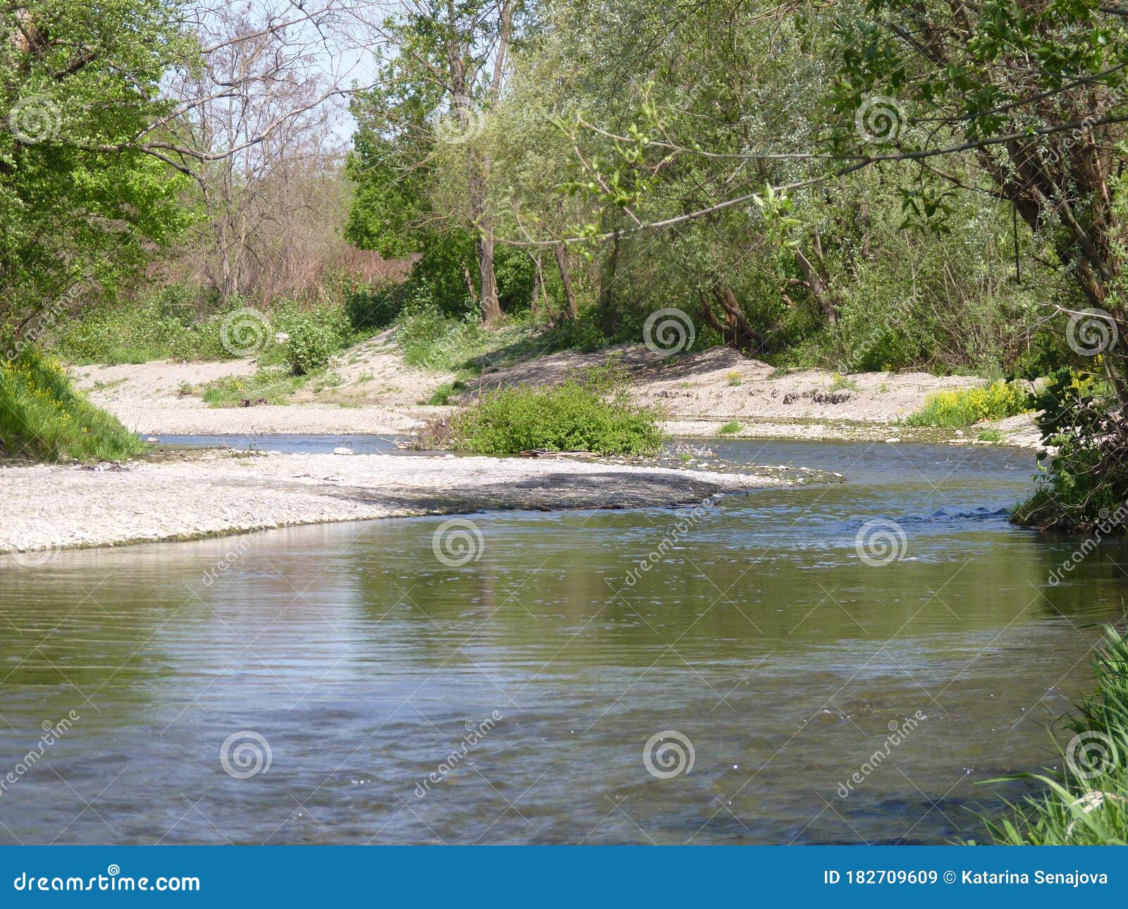 River Meander with Trees in the Summer Stock Image - Image of blue ...