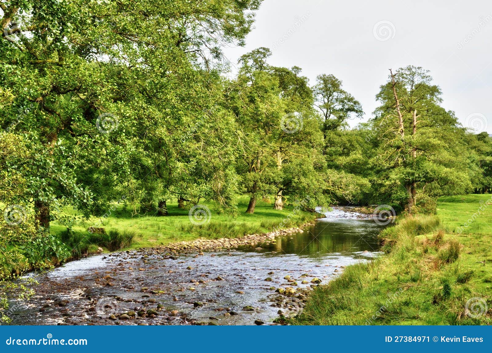 River Meandering Though Lush English Countryside Stock Image - Image of ...