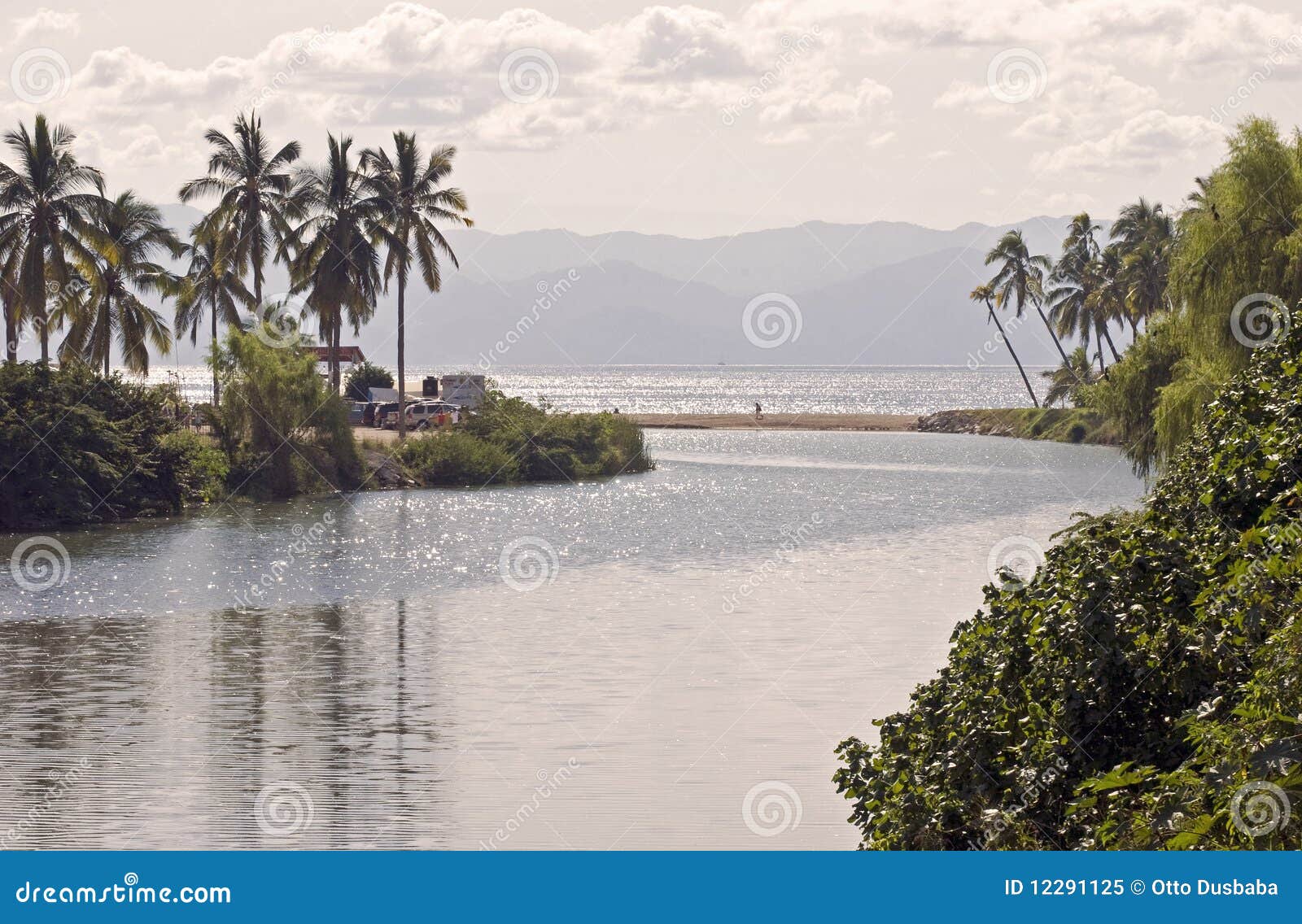 River meets Pacific Ocean stock image. Image of pacific - 12291125