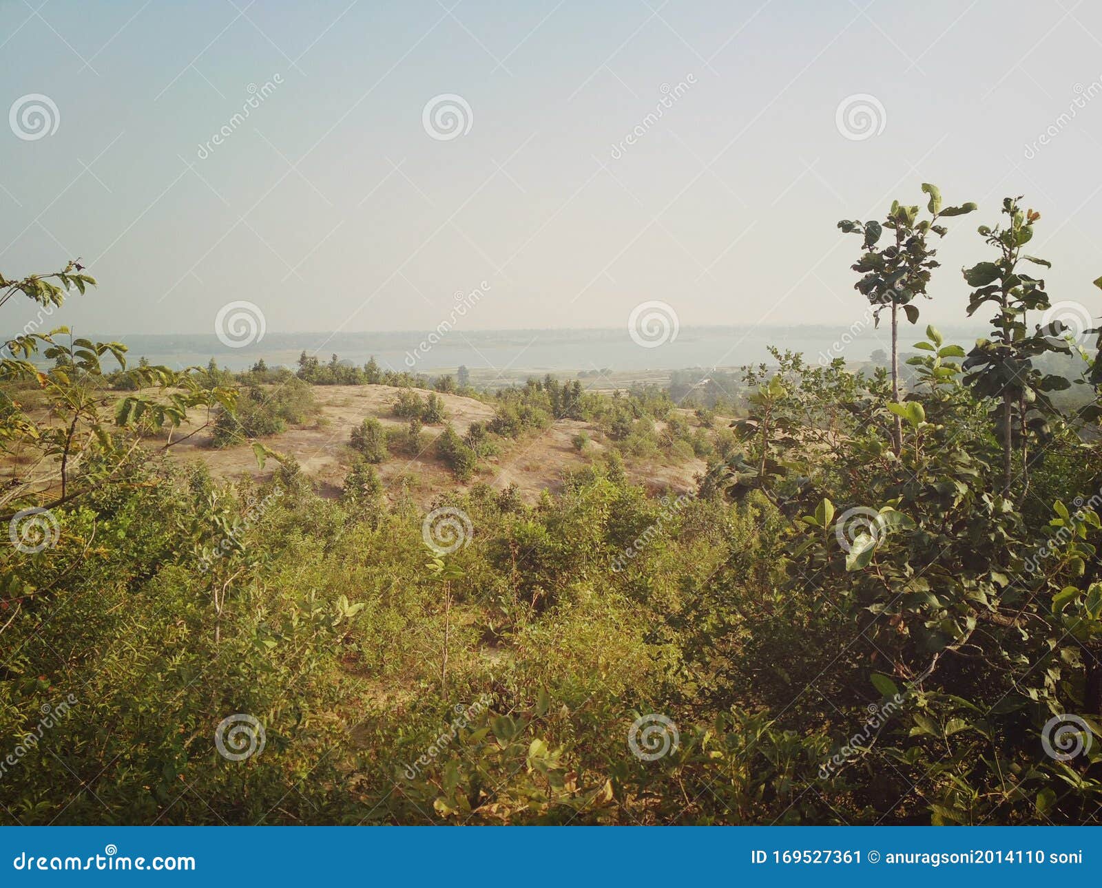 A river mid in mountain stock image. Image of river - 169527361