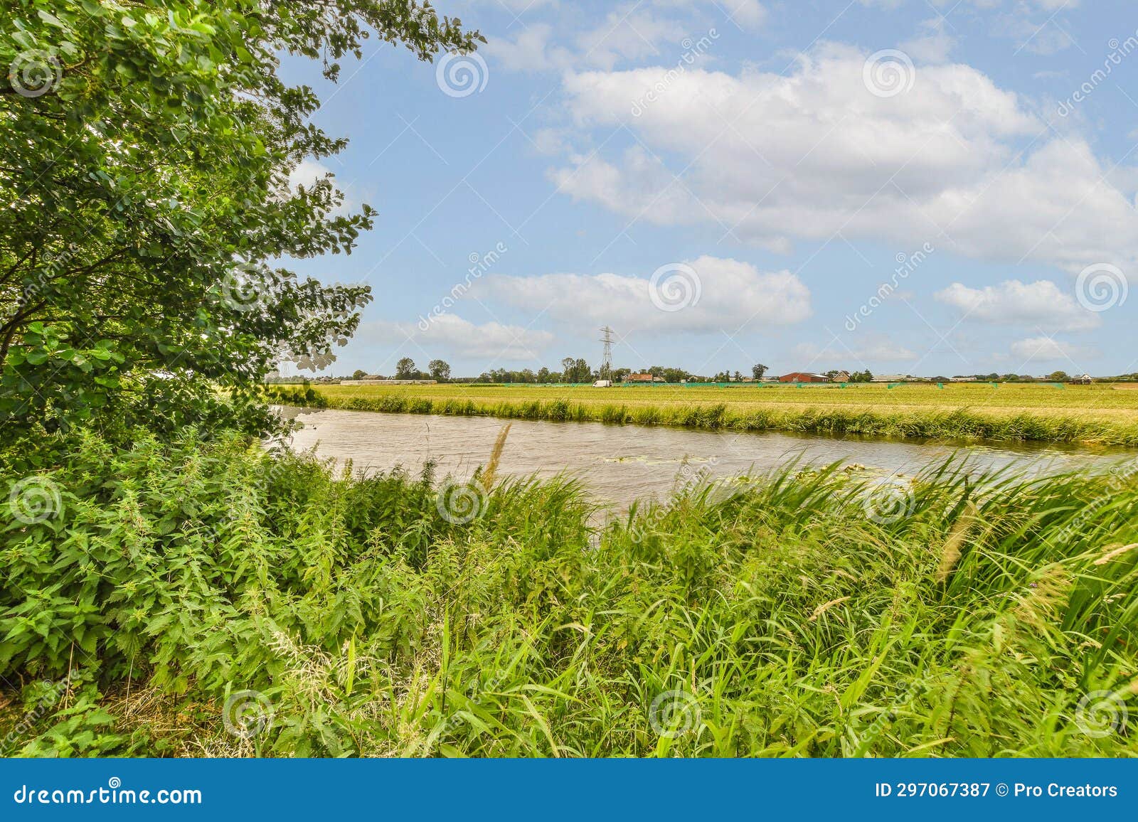 A River Running through a Field with Grass and Trees Stock Image ...