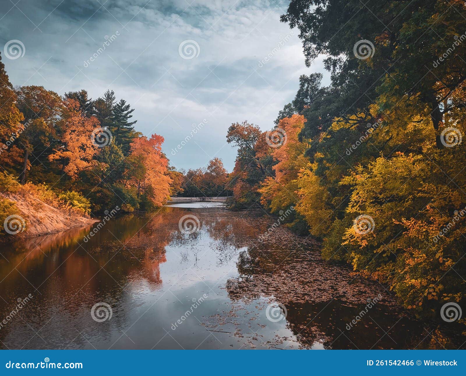 River in the Middle while Trees and Grasses are the by the Sides for ...