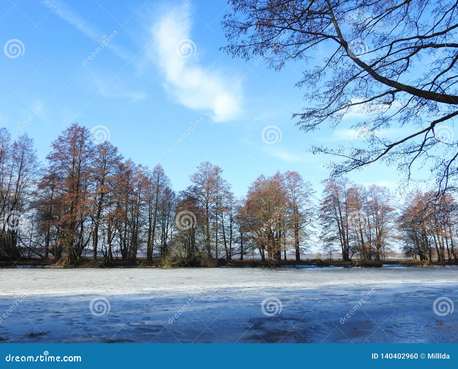 River Minija and Trees in Spring, Lithuania Stock Photo - Image of ...