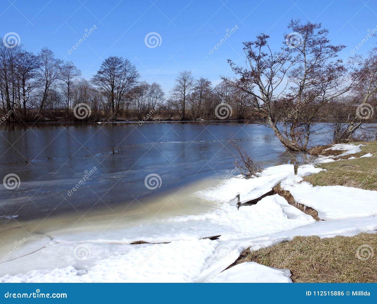 River Minija and Nice Trees in Spring , Lithuania Stock Photo - Image ...