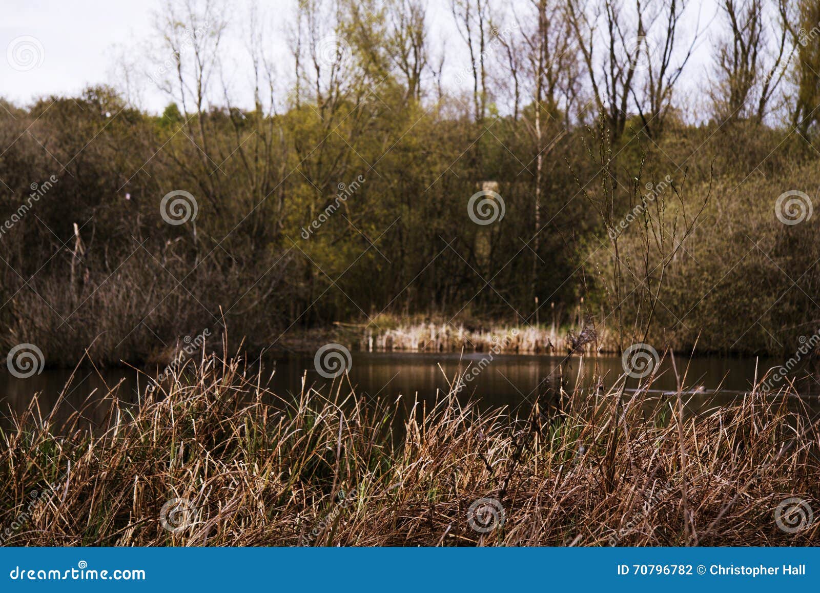 River Misbourne in the Chilterns, Eng Stock Photo - Image of view ...