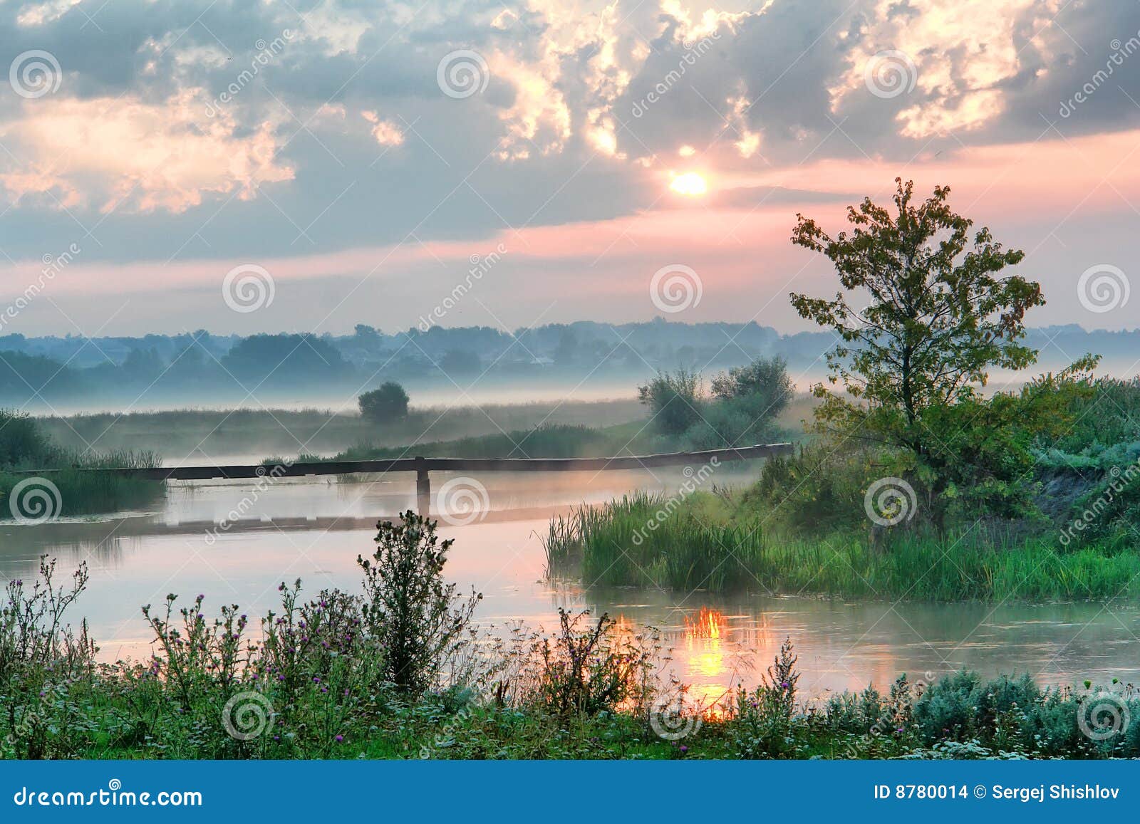 River in mist stock photo. Image of reflection, water - 8780014