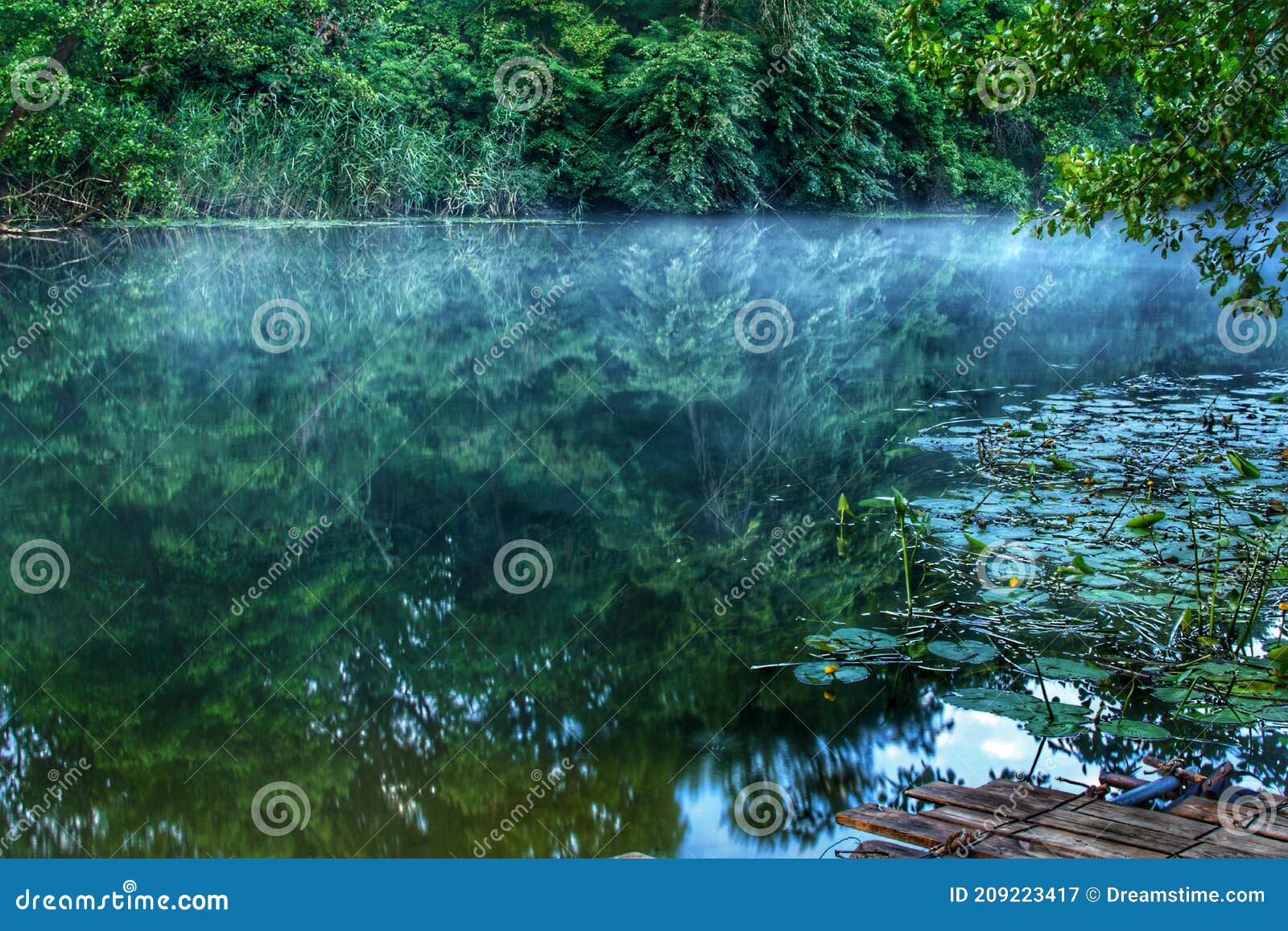 River mist stock image. Image of river, sunrise, mist - 209223417