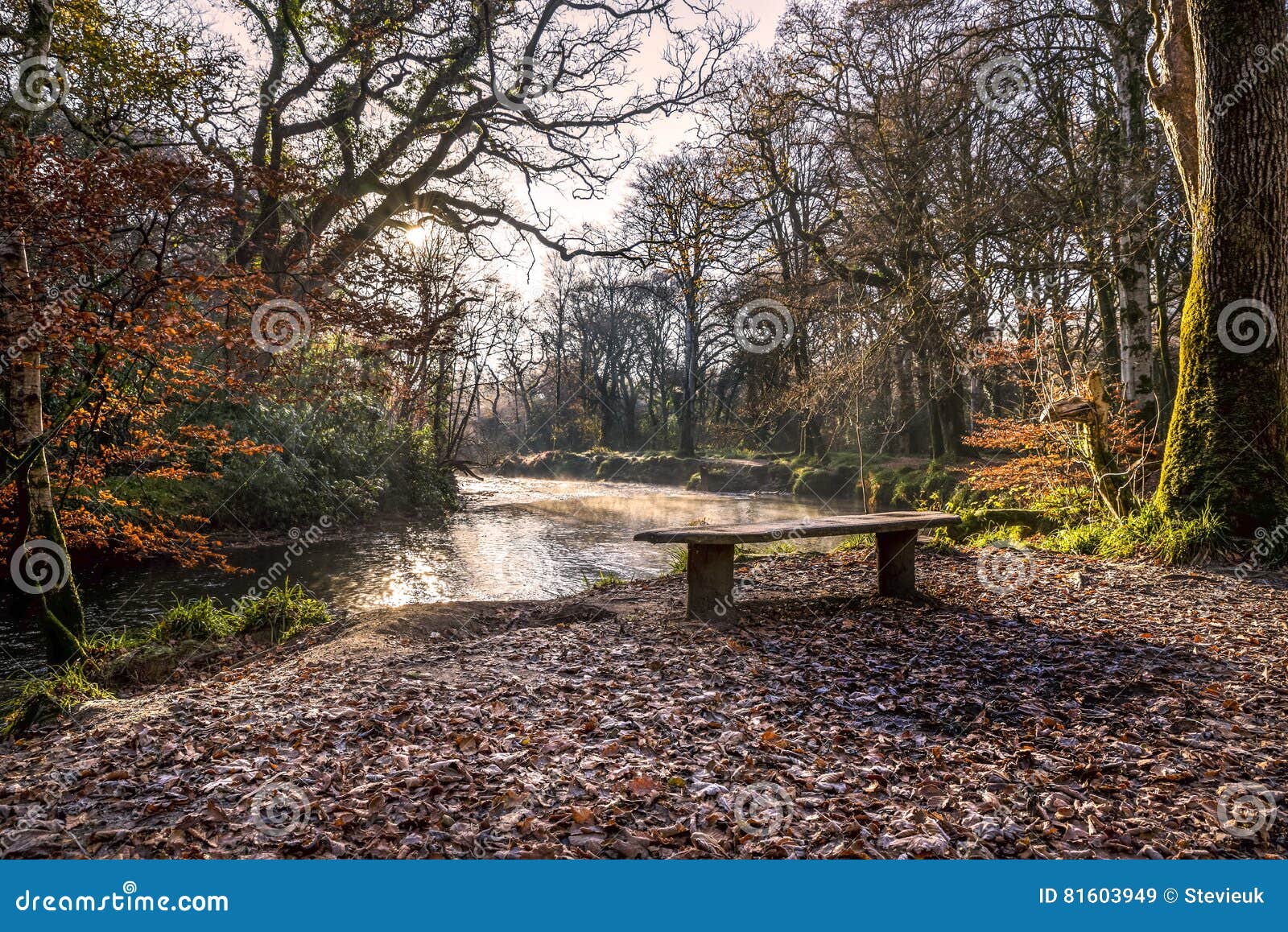 River on a Misty Autumn Morning, Respryn, Cornwall, Uk Stock Image ...