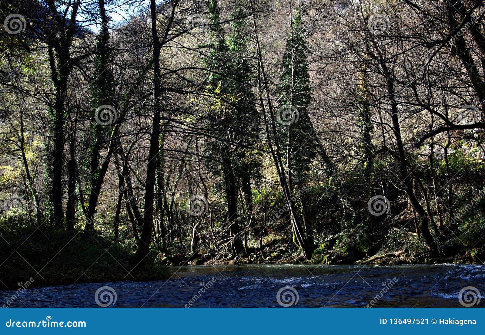 Serbian River Mlava stock image. Image of environment - 136497521