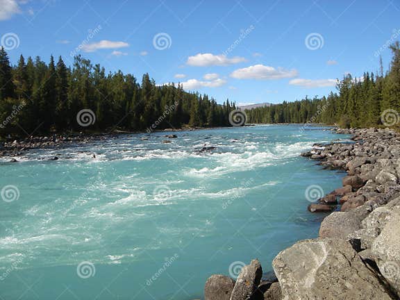 River in mongolia stock image. Image of water, forests - 4443395