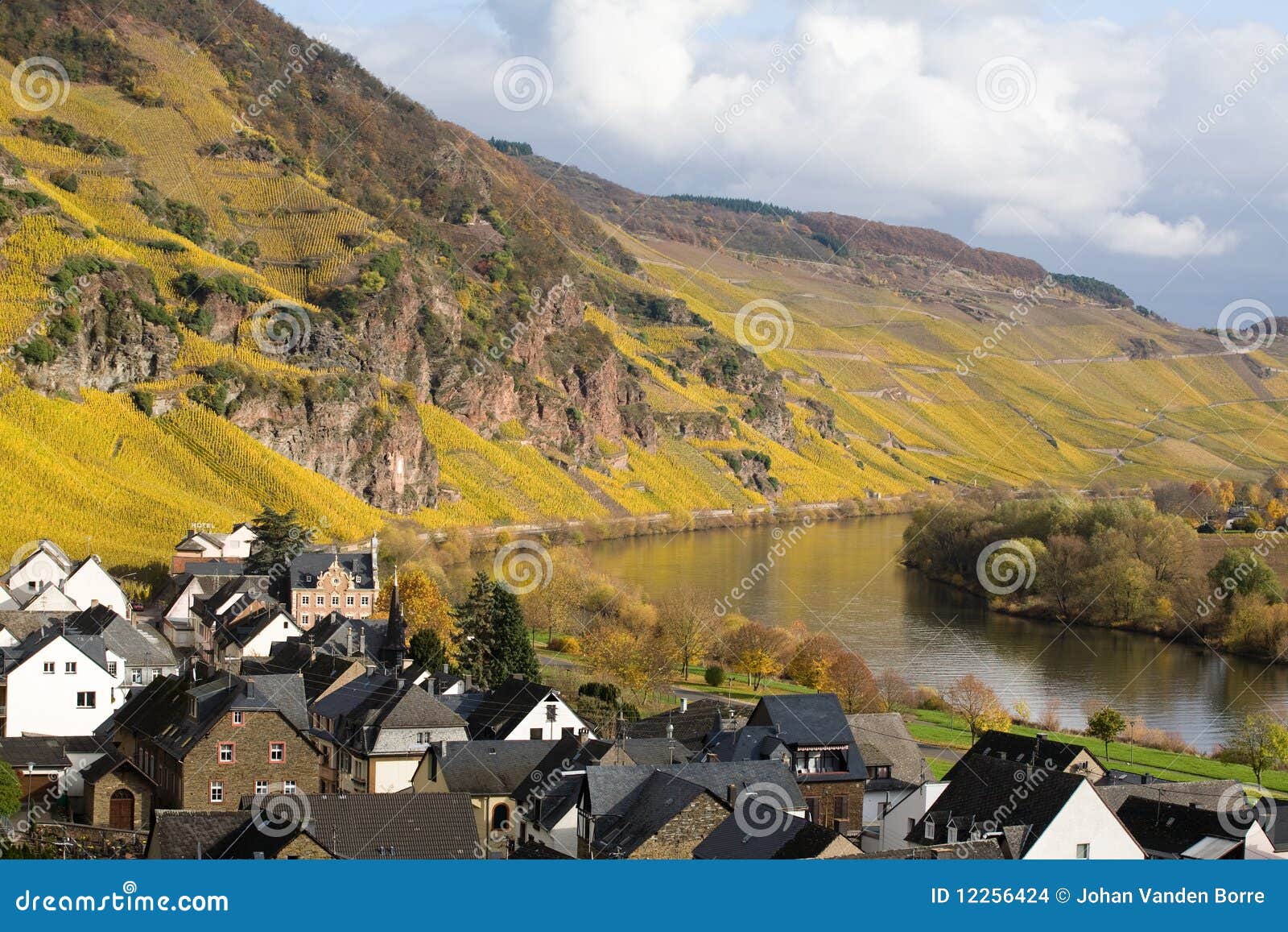 River Mosel Vineyards stock photo. Image of germany, mosel - 12256424