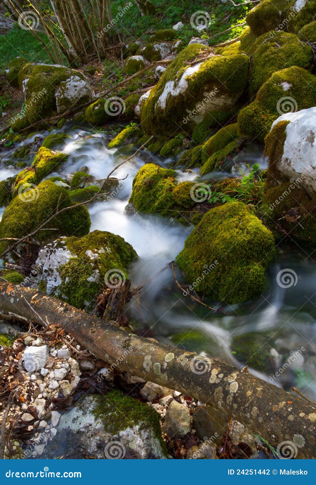 River and moss stock photo. Image of mountain, moss, waterfall - 24251442