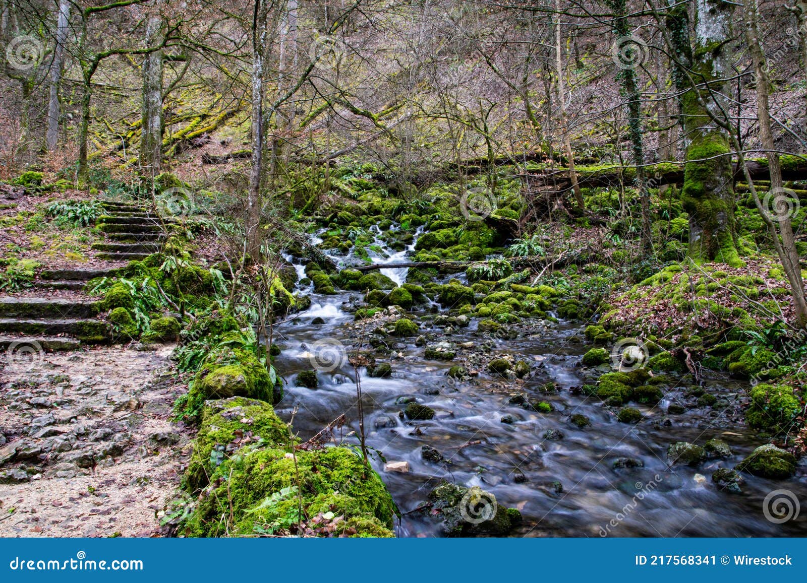 River with Mossy Rocks in a Forest Stock Image - Image of river, smooth ...
