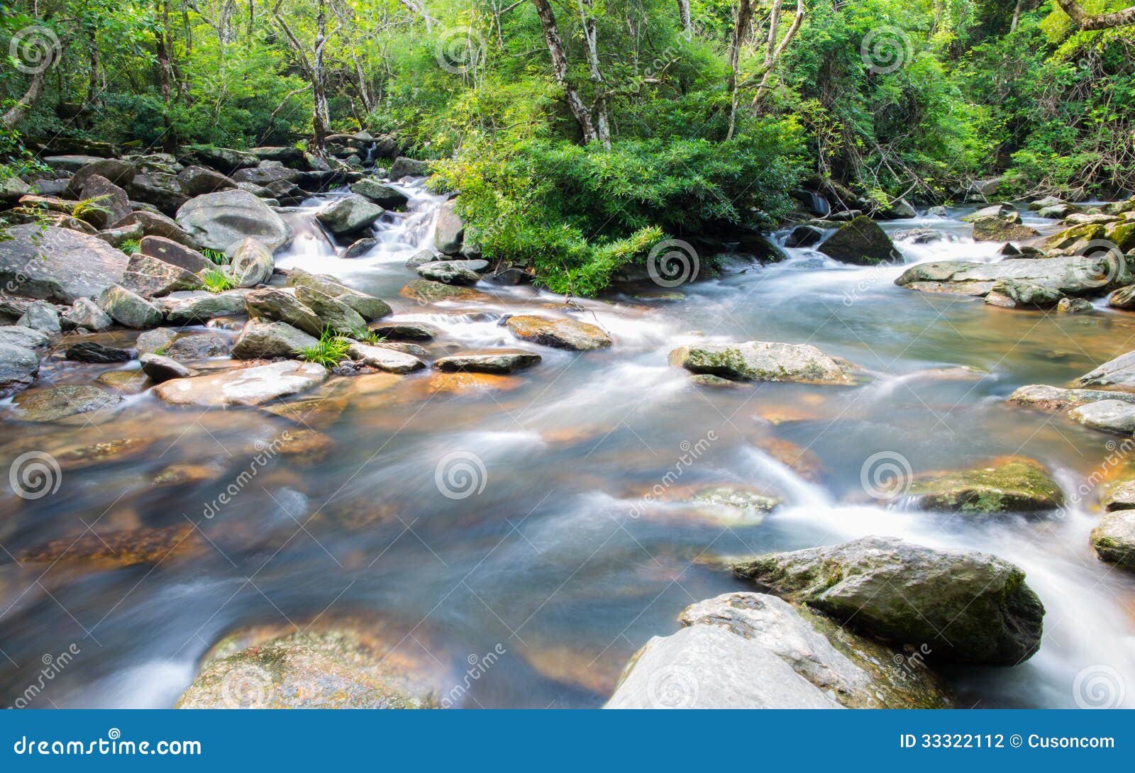 River stock photo. Image of shutter, america, leaves - 33322112
