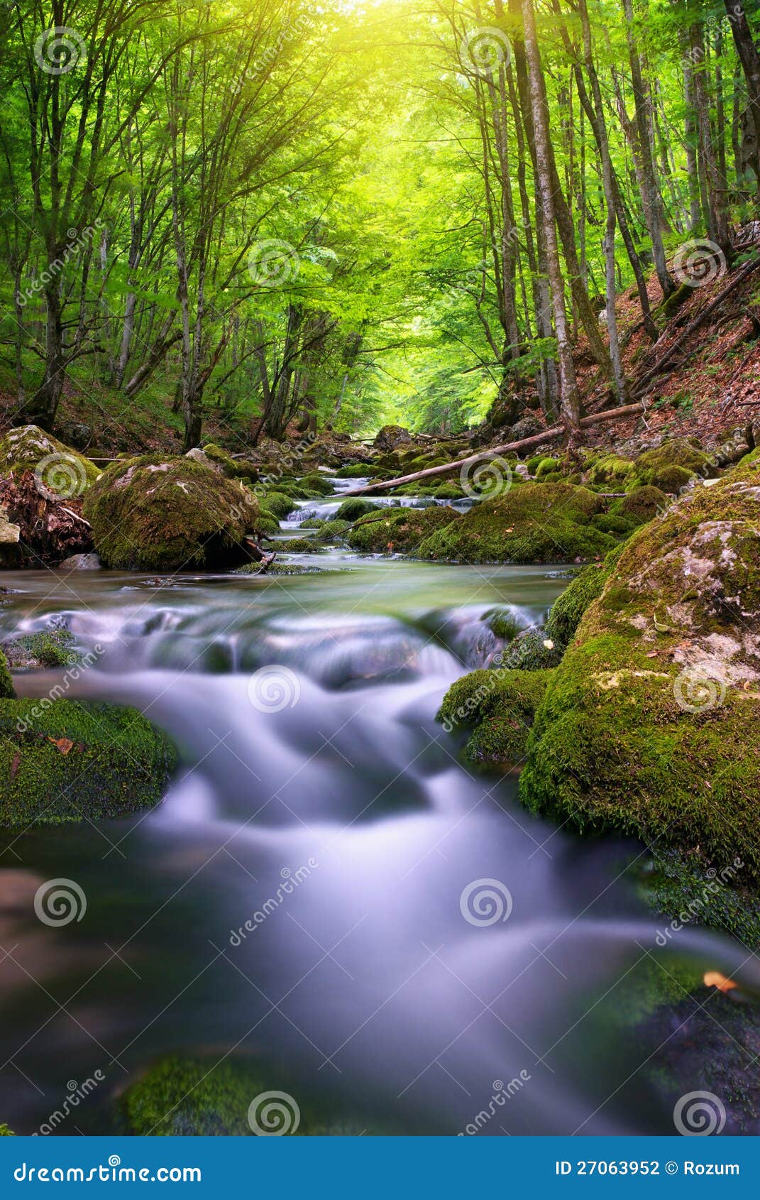 River in mountain forest. stock photo. Image of green - 27063952