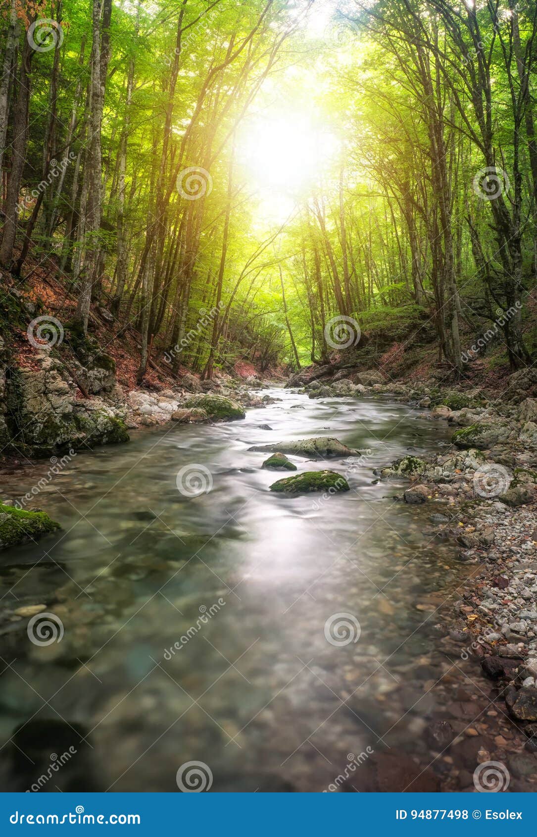 River in mountain forest. stock photo. Image of relax - 94877498