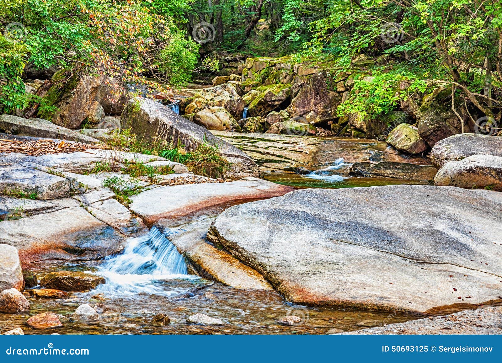 River in Mountain Forest in Korea Stock Image - Image of water, wild ...