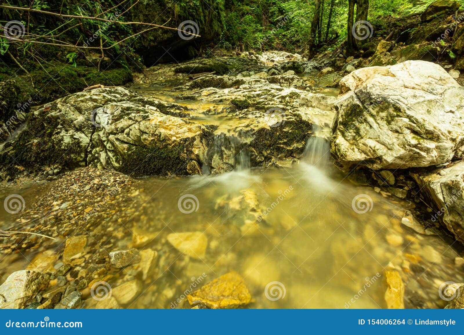 River in the Mountain Forest Stock Photo - Image of branch, river ...