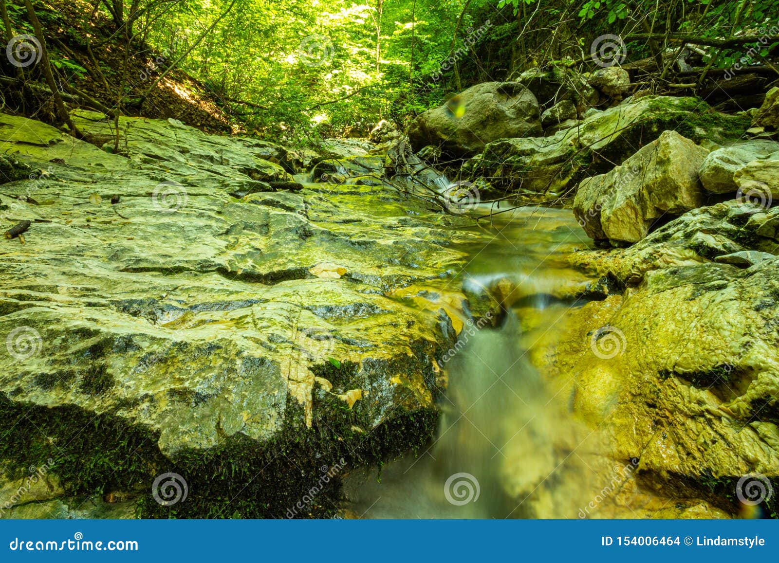River in the Mountain Forest Stock Photo - Image of state, environment ...