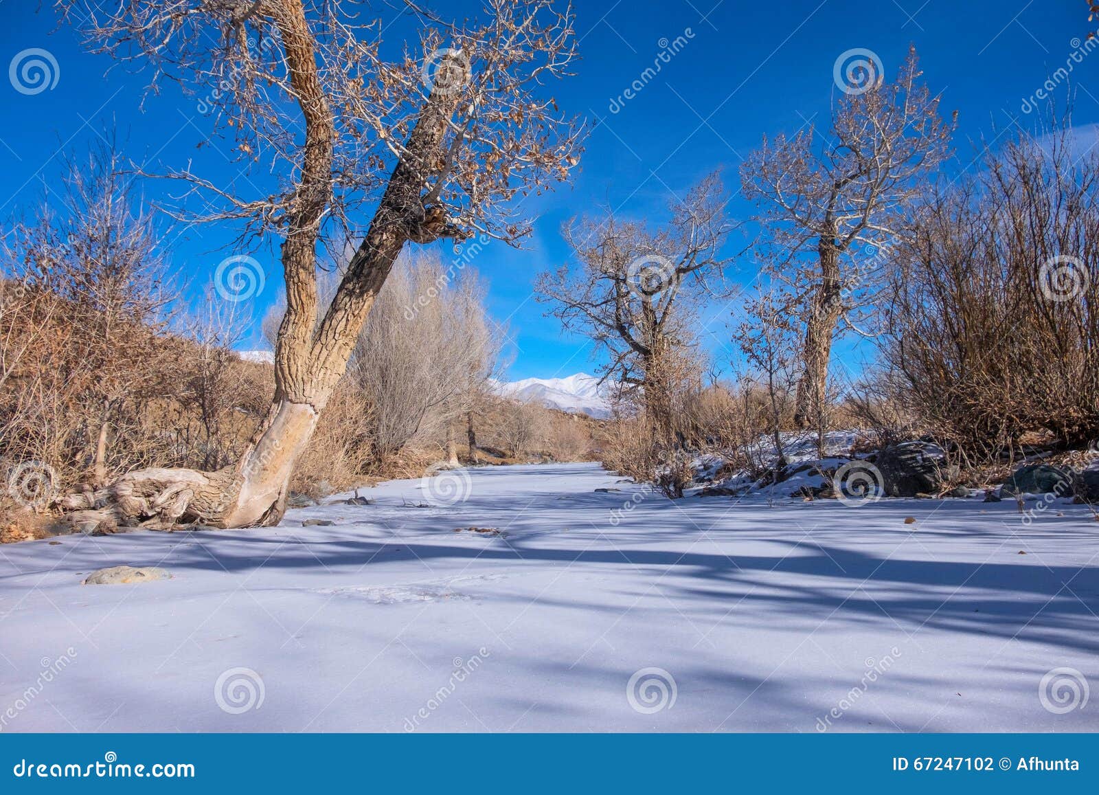 River in the Mountain Steppes of the Altai Mountains Stock Photo ...