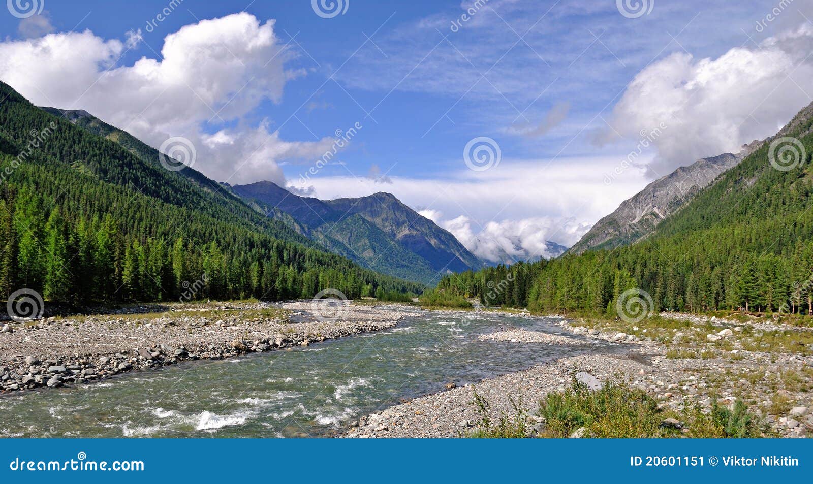 River in a mountain valley stock image. Image of forest - 20601151