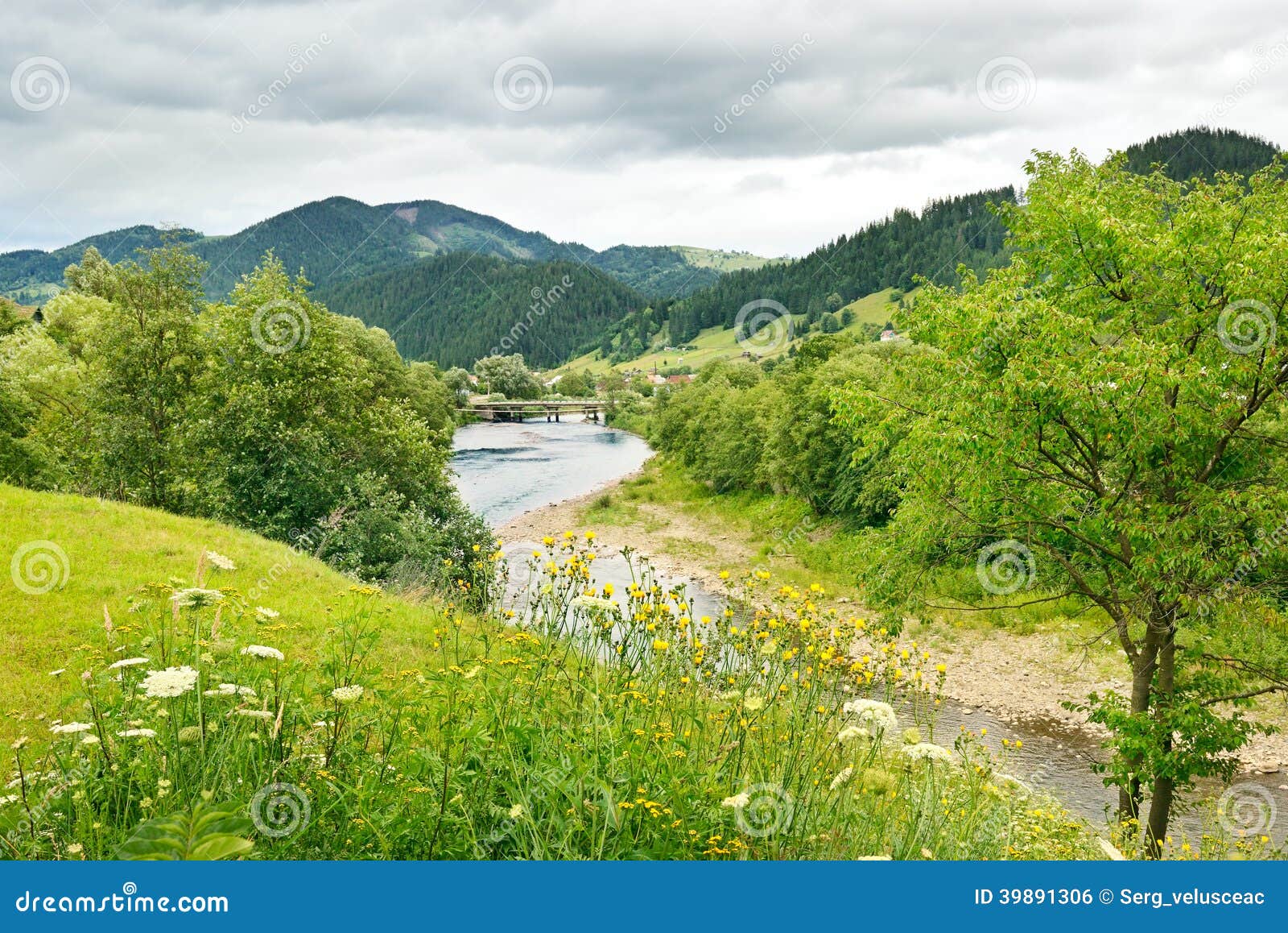 River in the mountains stock photo. Image of firtree - 39891306