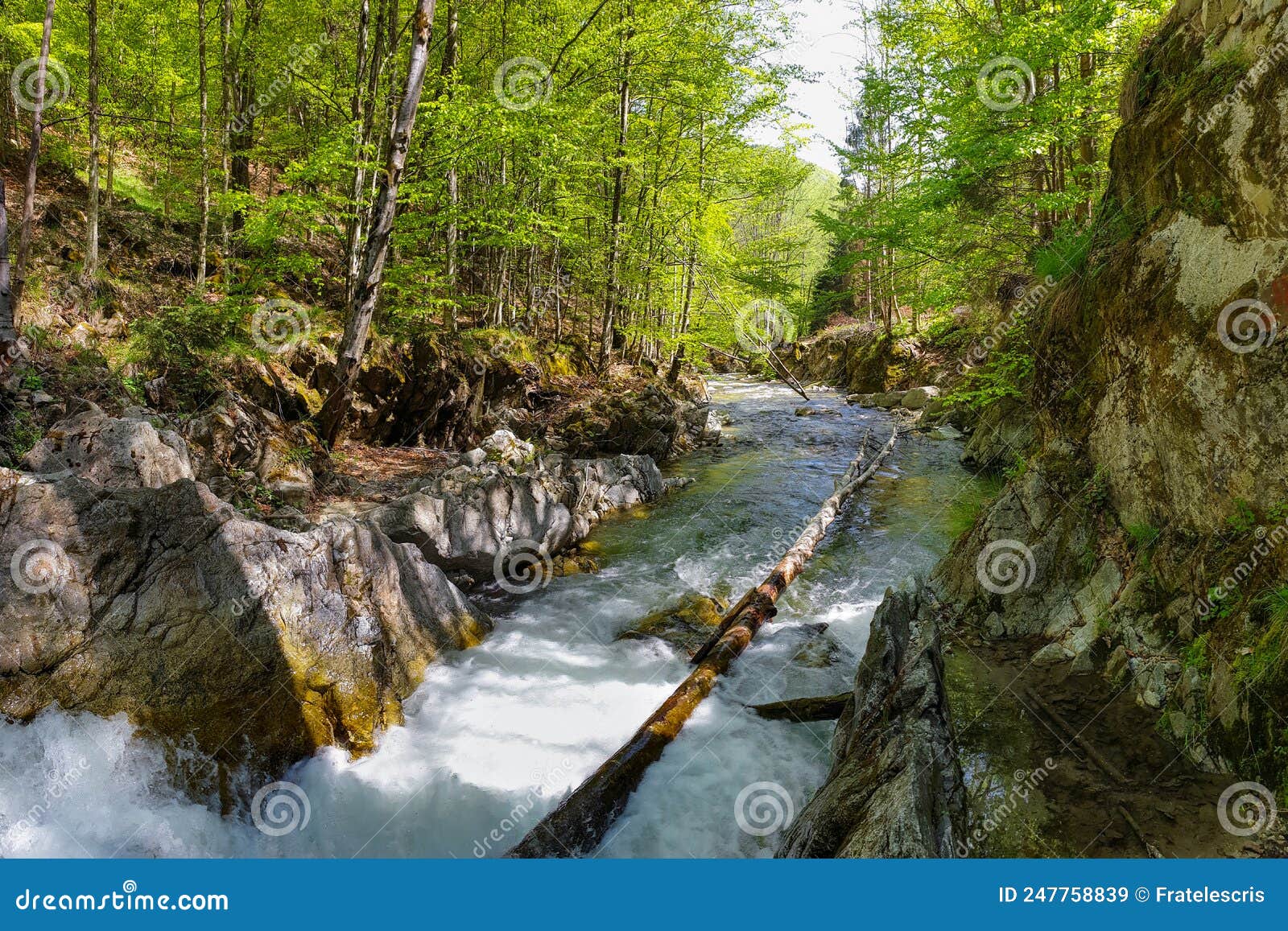 River in the Mountains Landscape - Cheile Oltetului, Romania Stock ...
