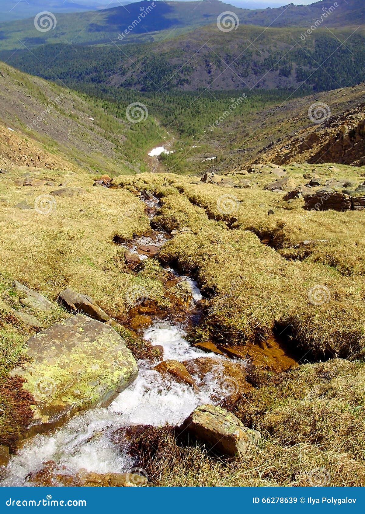 River in the mountains stock image. Image of green, summer - 66278639