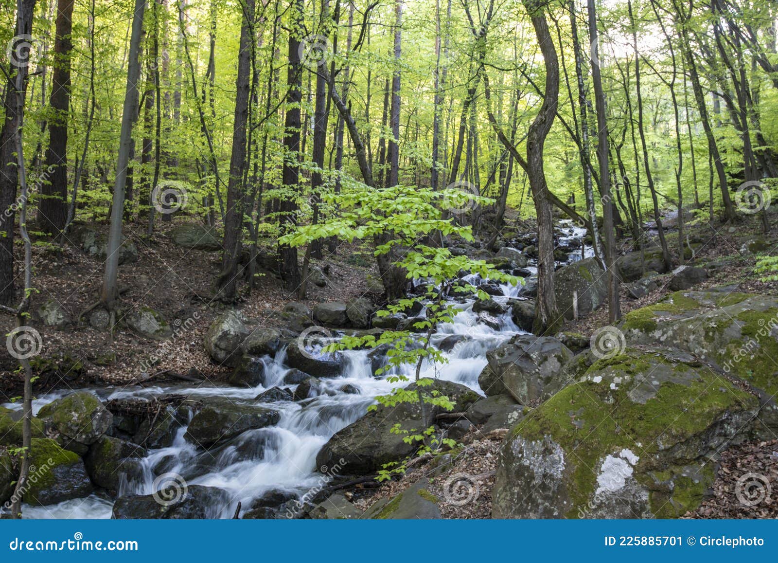 A River in the Mountains during Springtime Stock Image - Image of ...