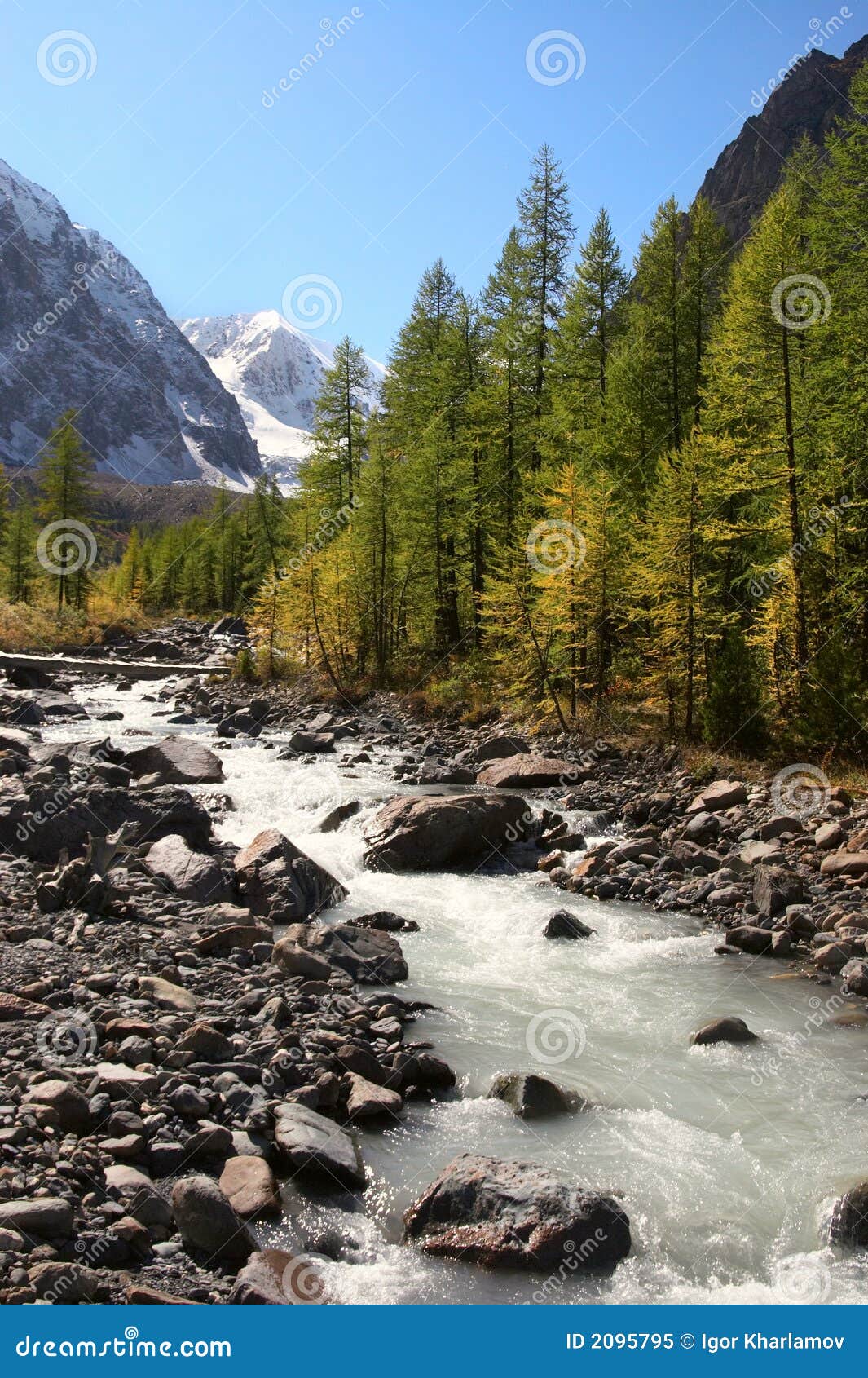 River, Mountains and Trees. Stock Image - Image of trees, mountainside ...