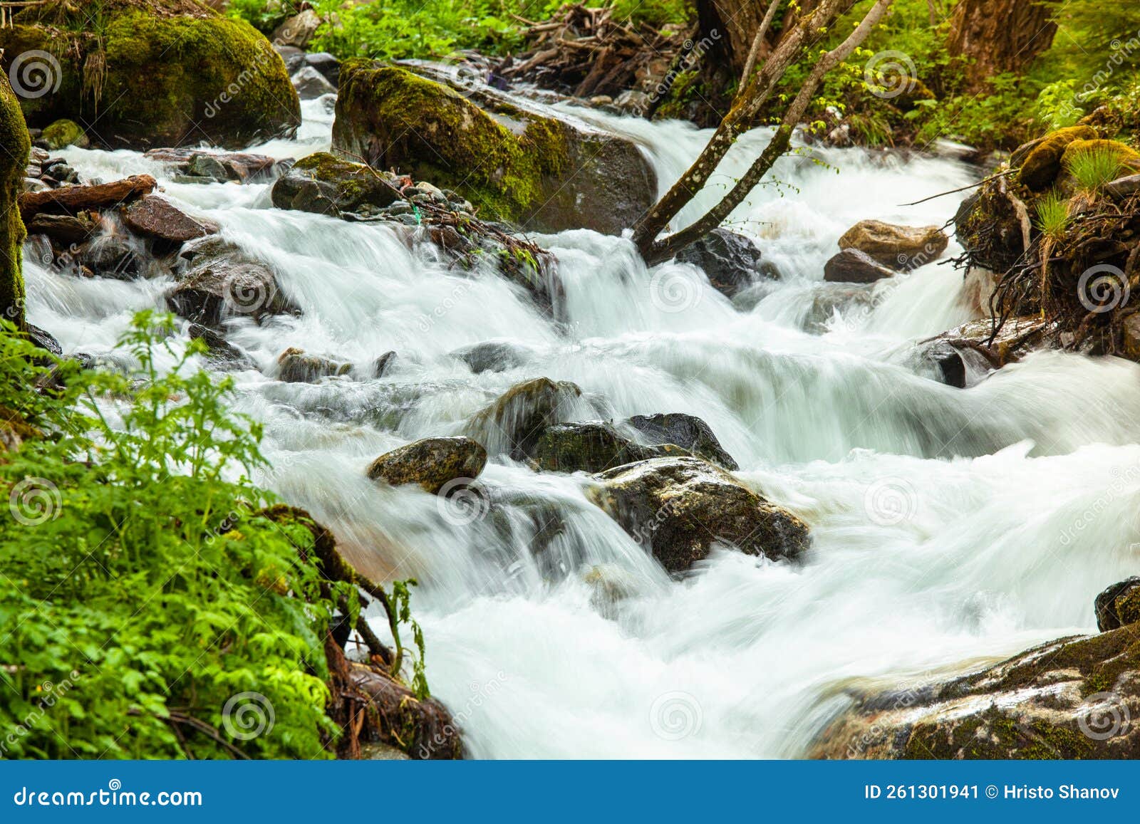 River in Mountains, Deep Forest, Wonderful Springtime Scenery Stock ...