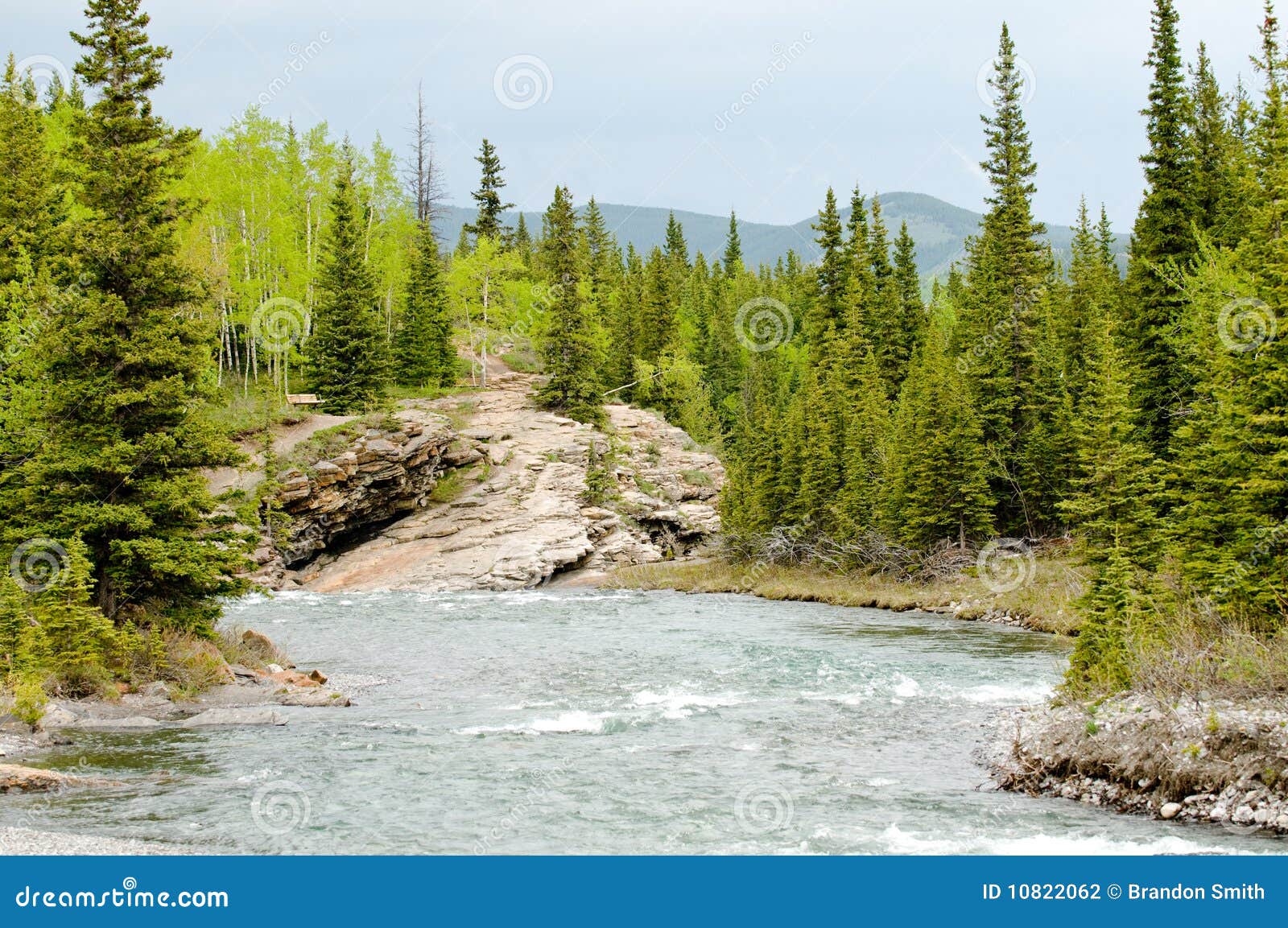 River in the mountians stock photo. Image of canada, woods - 10822062