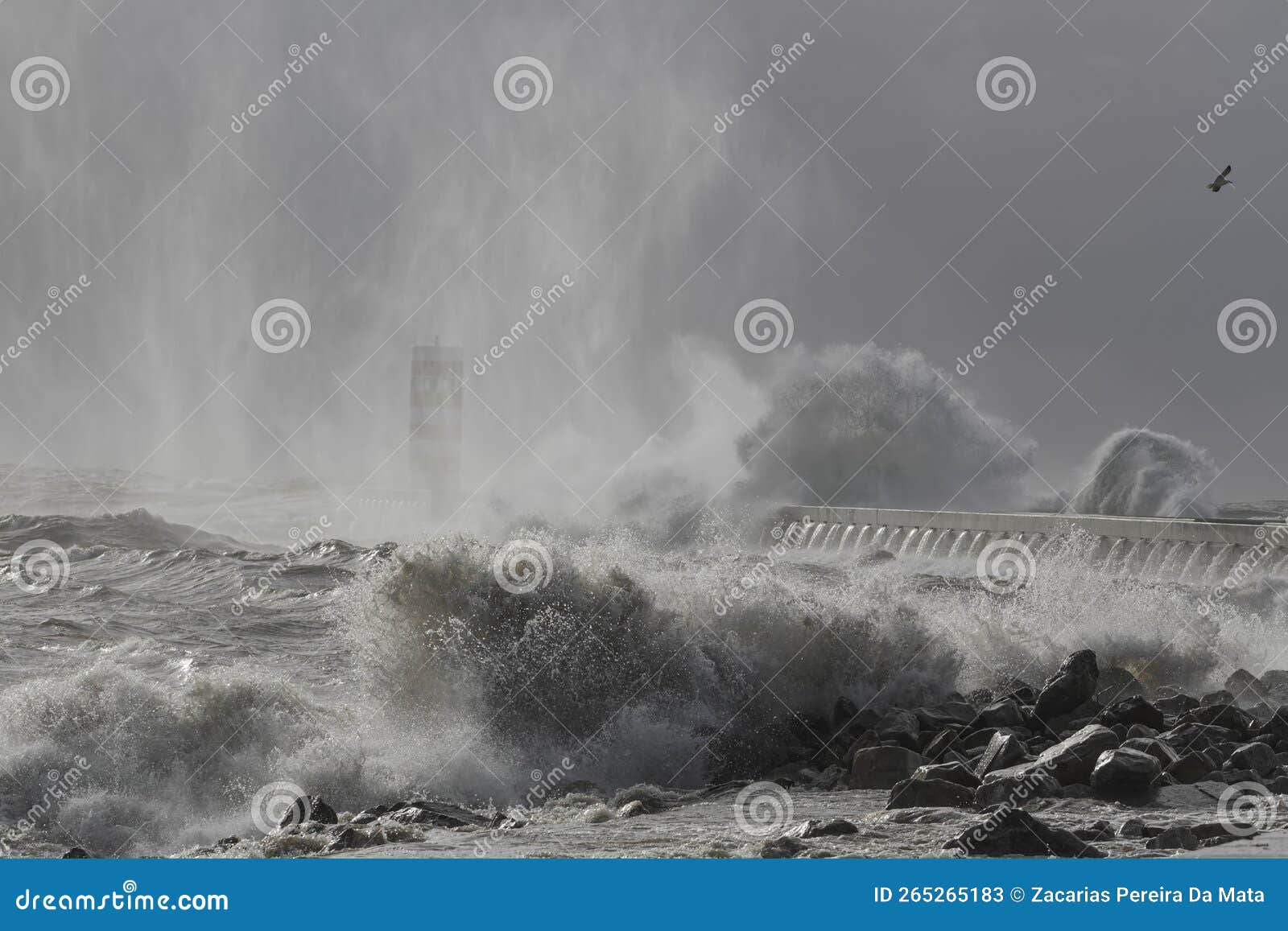 Heavy Storm Bringing Thunder, Lightnings And Rain Royalty-Free Stock ... Heavy Storm Bringing Thunder, Lightnings And Rain Royalty-Free Stock ...
