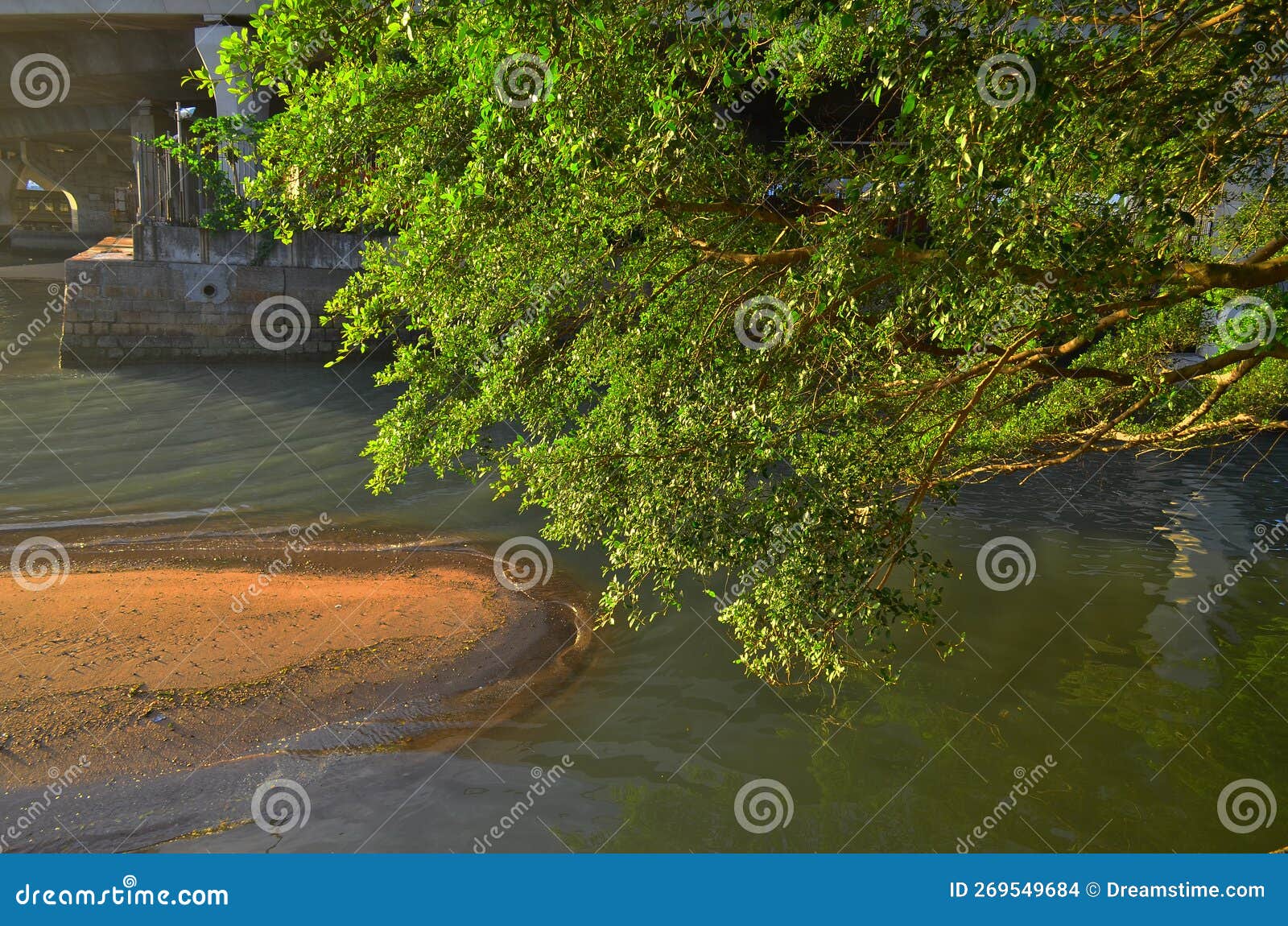 A River Mouth of Tsui Ping , Kwun Tong Stock Photo - Image of spring ...