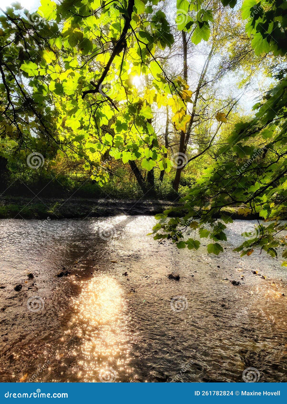 A River in Muted Autumn Light Stock Photo - Image of sunlight ...