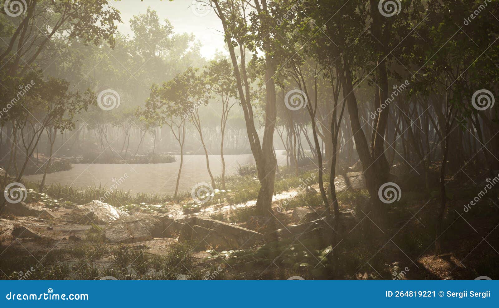 River in Mysterious Forest with Fog Stock Illustration - Illustration ...
