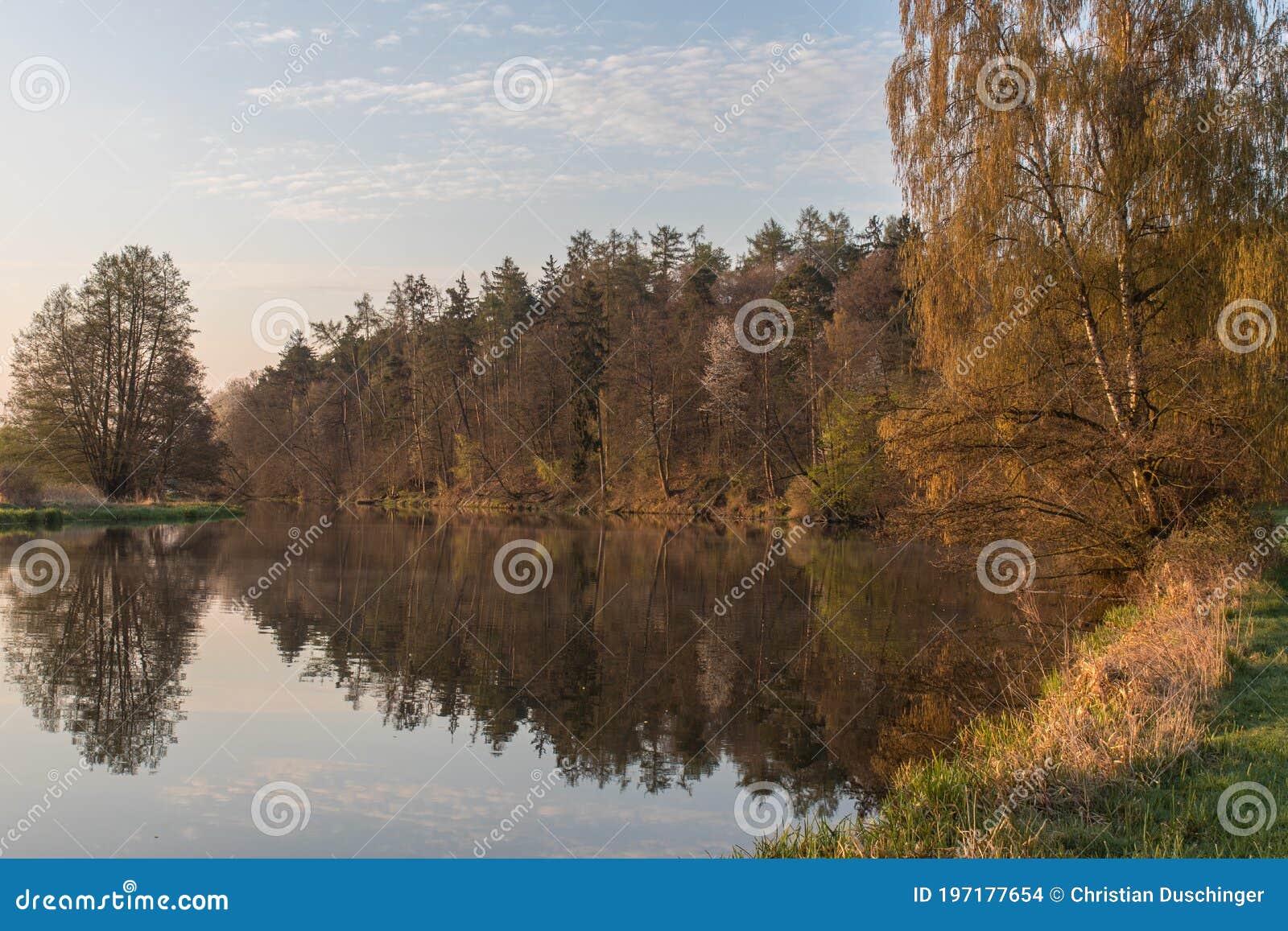 The River Naab Next To Schwandorf Stock Photo - Image of naab, pond ...