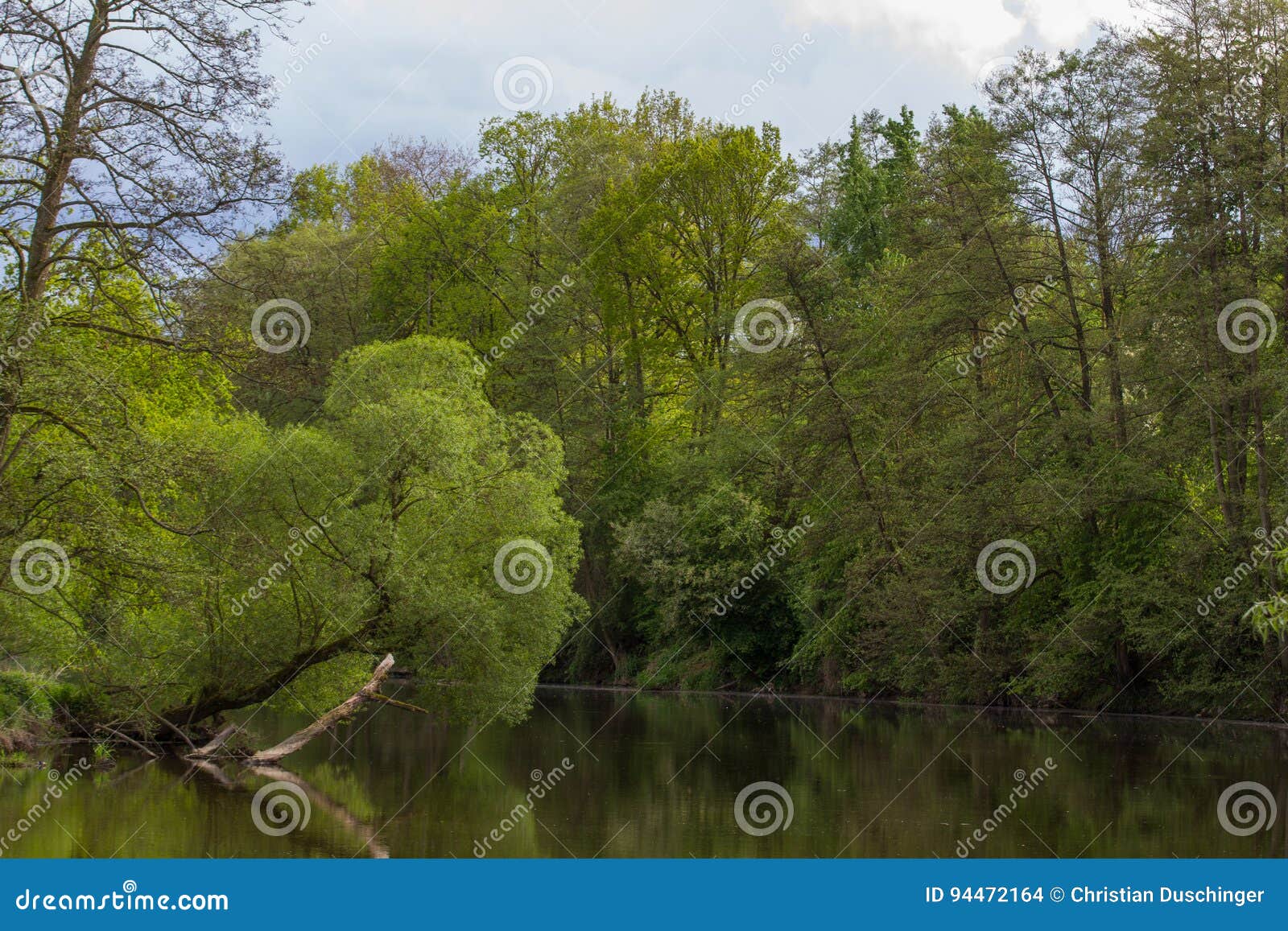 River naab stock photo. Image of naab, field, forest - 94472164
