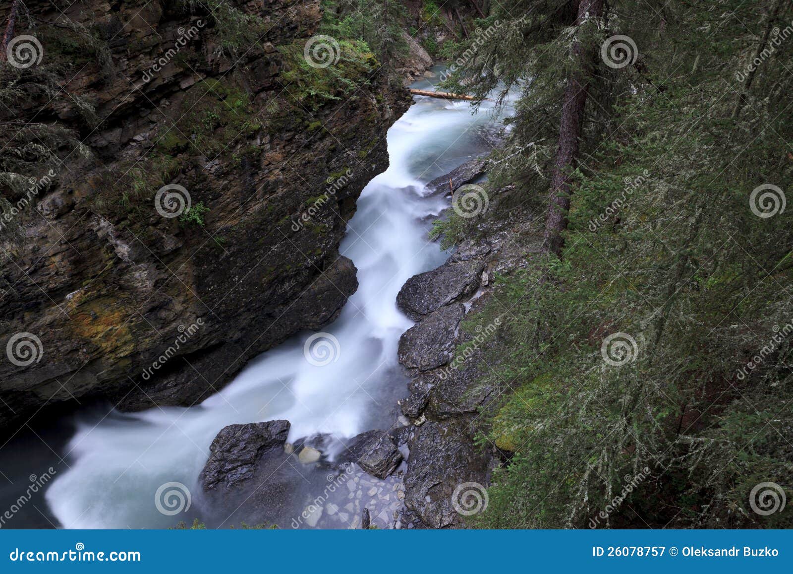 River in a narrow gorge stock image. Image of green, banff - 26078757