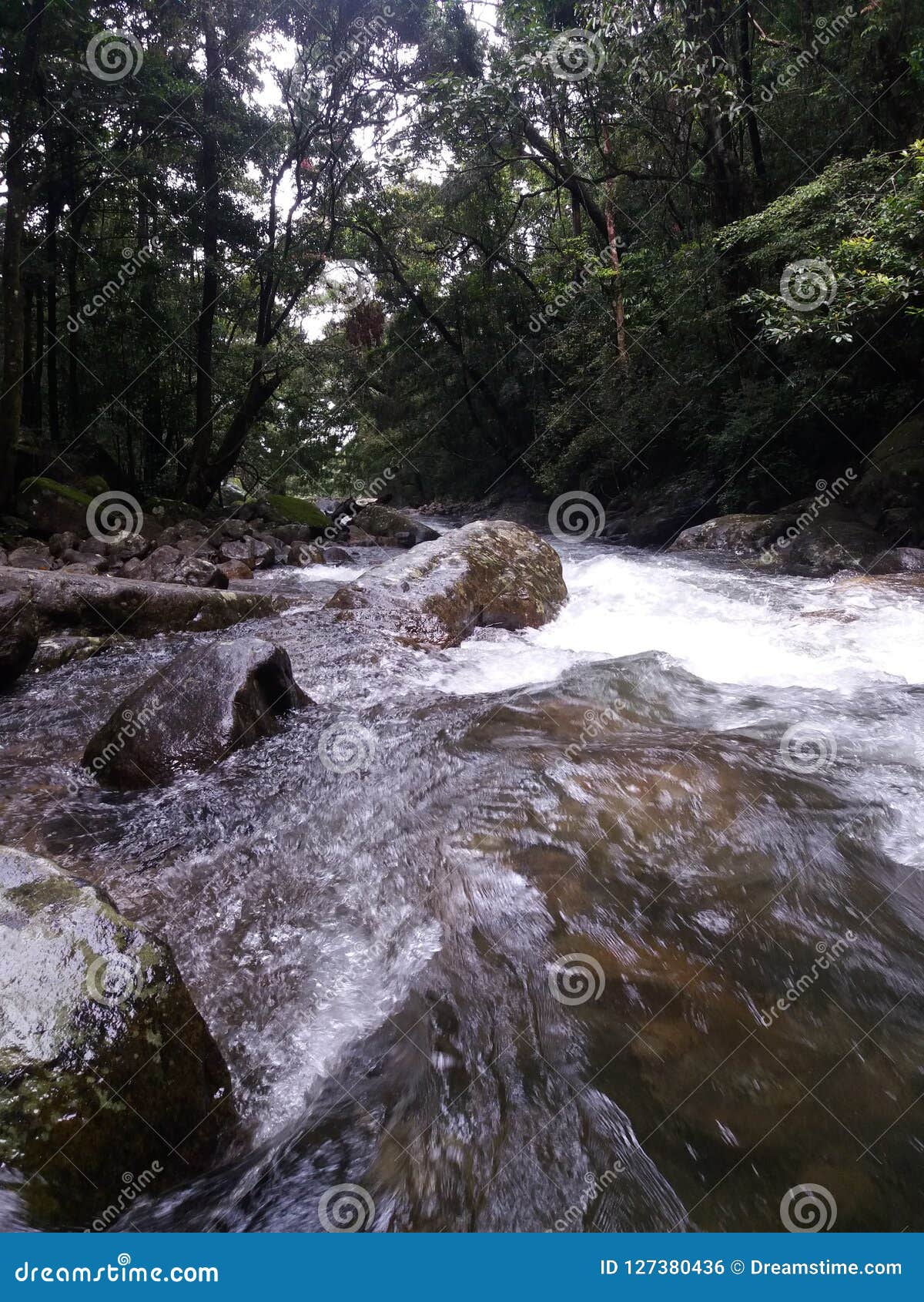 River stock photo. Image of river, fantastic, natural - 127380436