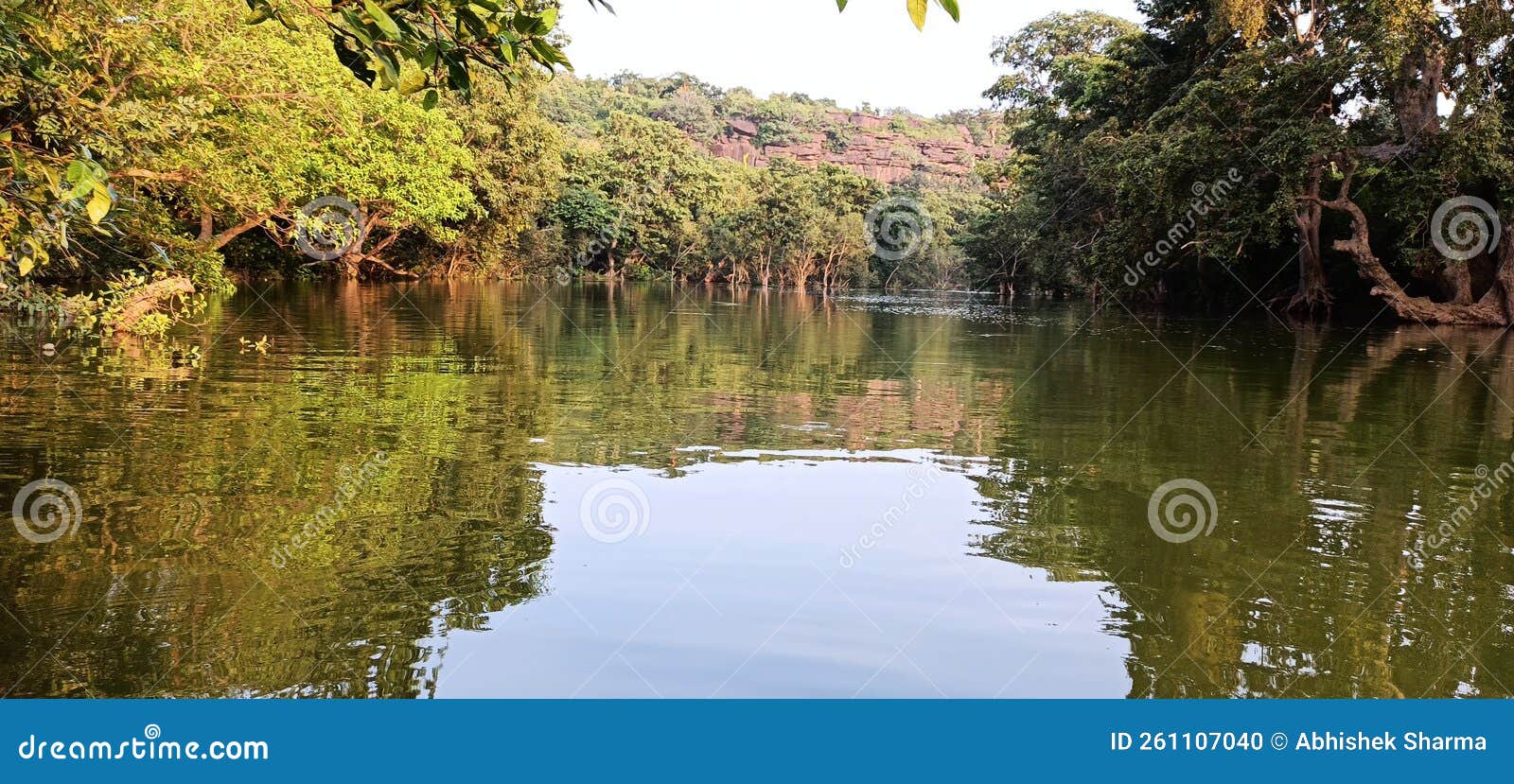 River Natural Flow stock photo. Image of flow, leaf - 261107040