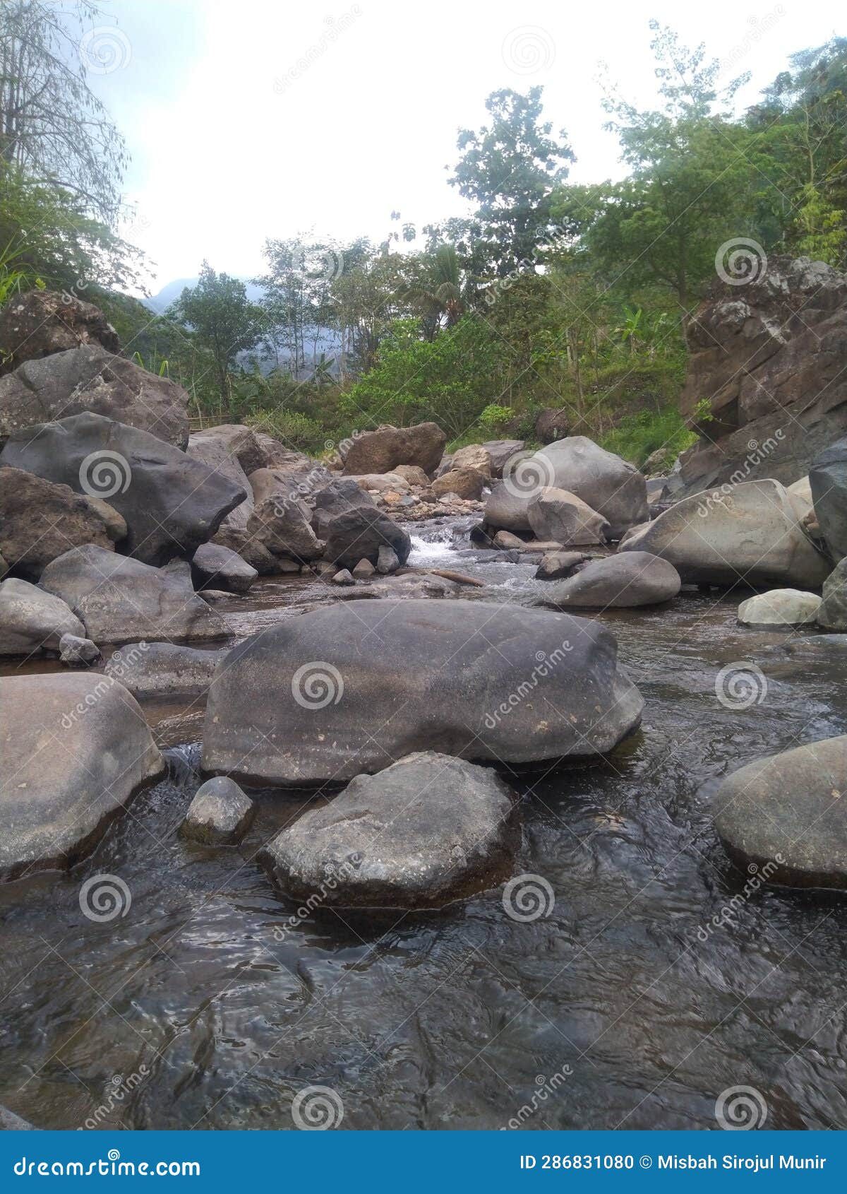 River with natural rocks stock photo. Image of soil - 286831080