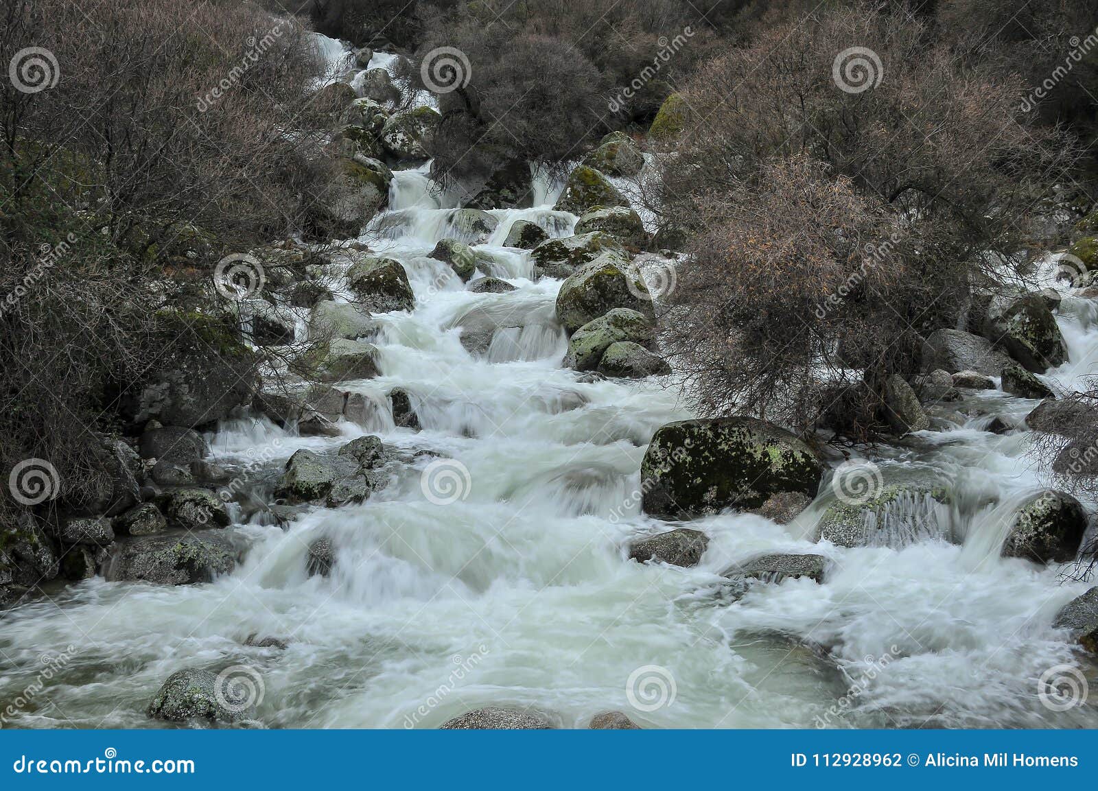 A river is a water course stock photo. Image of attraction - 112928962